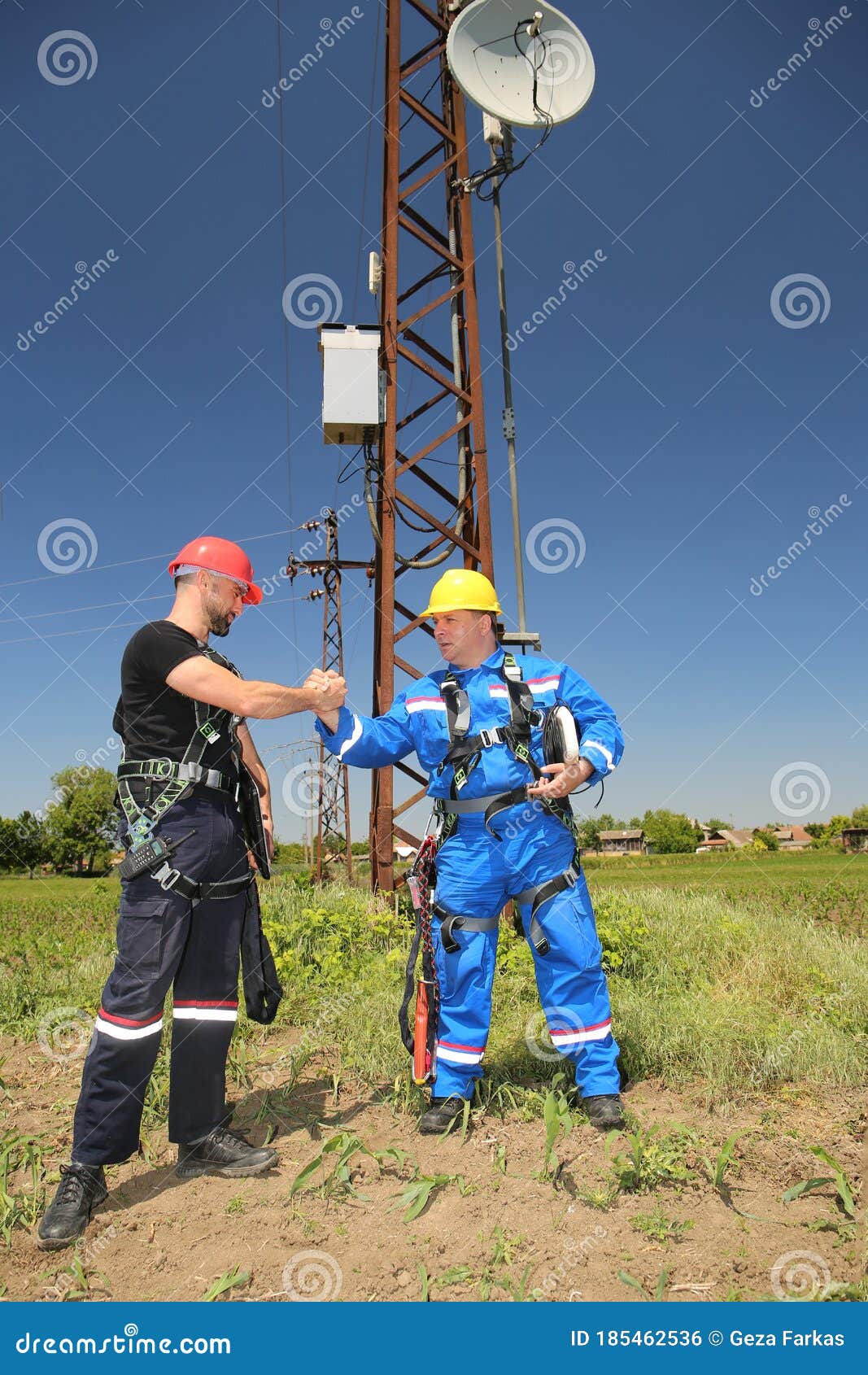 Two Electrician Shake Hands after Job in Power Line Stock Photo - Image ...