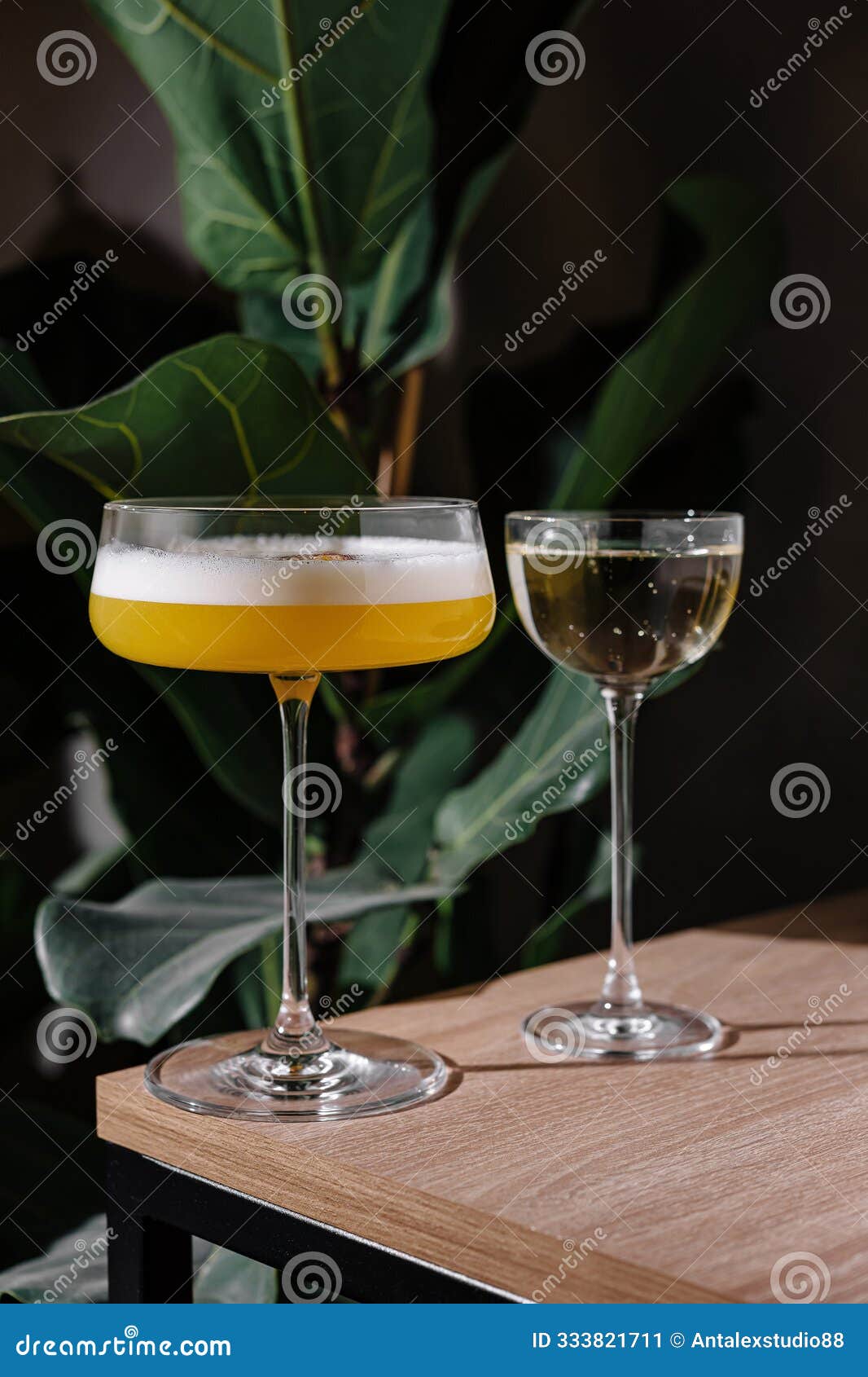 Two Elegant Cocktails Standing on Table in Front of Plant Stock Image ...