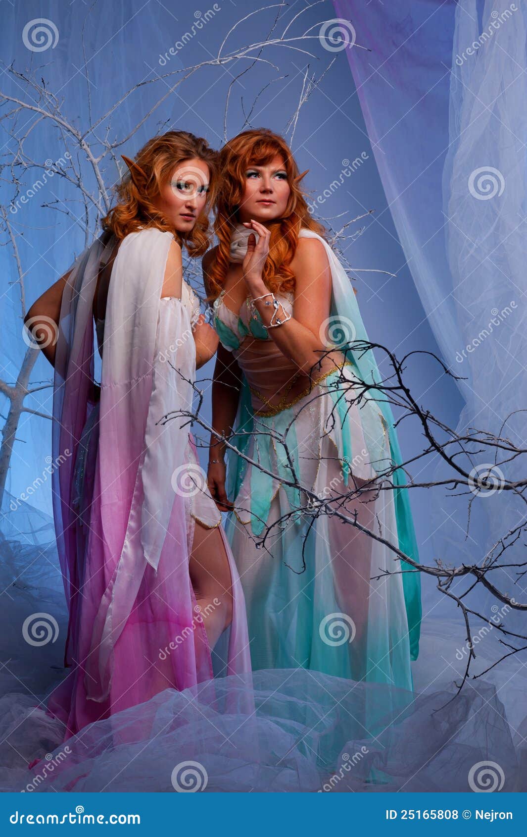 Two Elf Women In Magical Forest Royalty Free Stock Photos - Image: 25165808