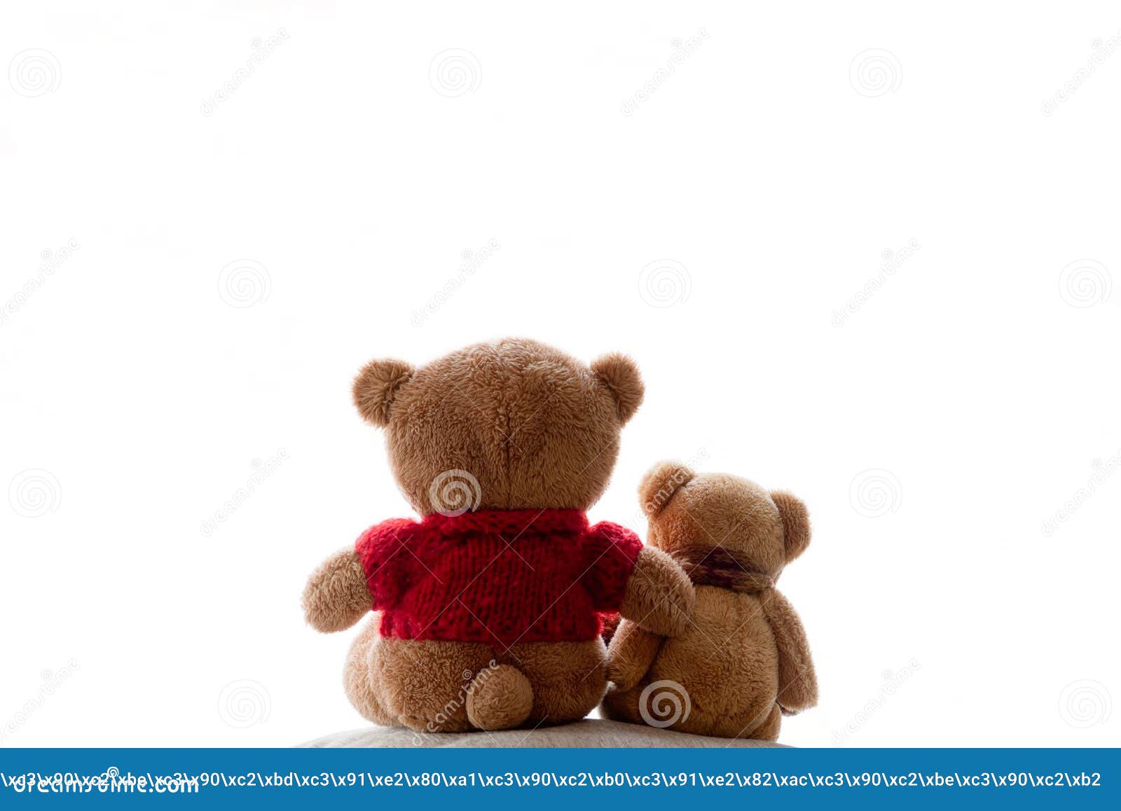 Two Embracing Bear Cubs on a White Background Stock Image - Image of ...