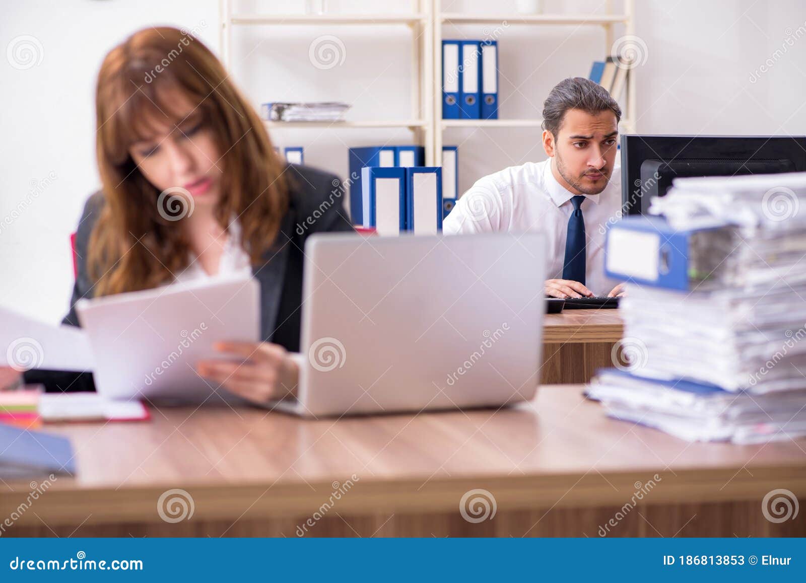 Two Employees Working in the Office Stock Image - Image of accountant ...