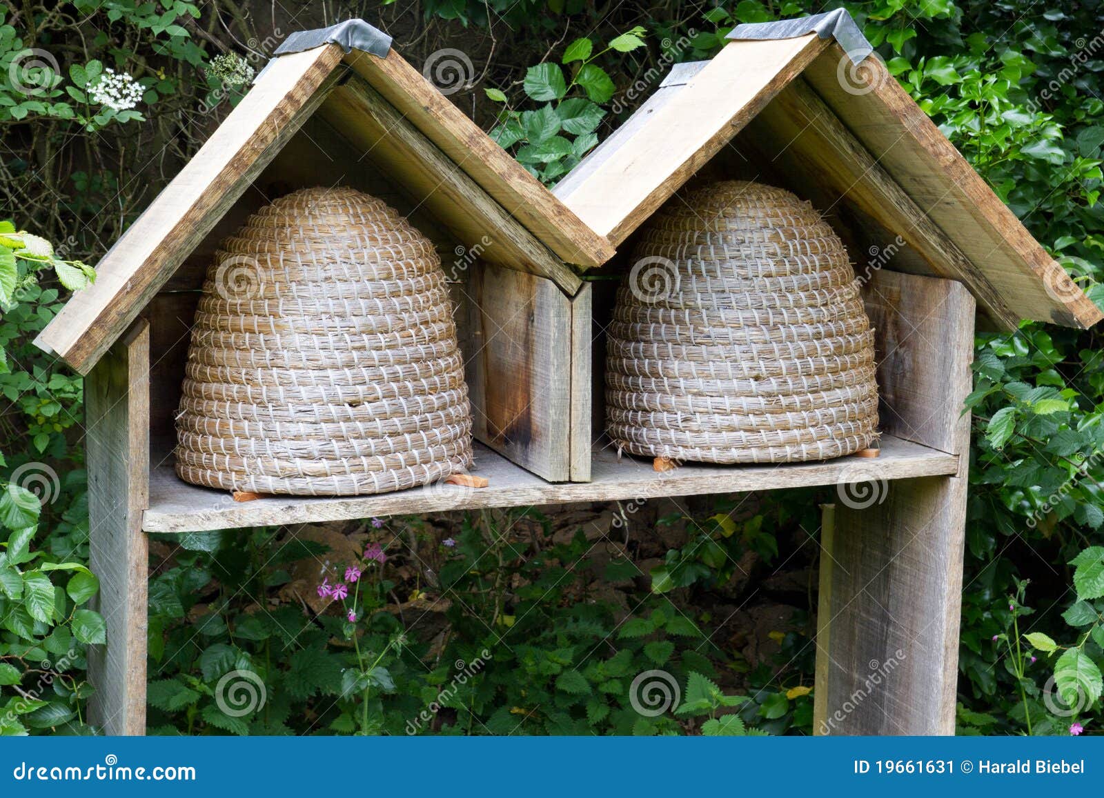 Two empty bee hives stock image. Image of agriculture - 19661631