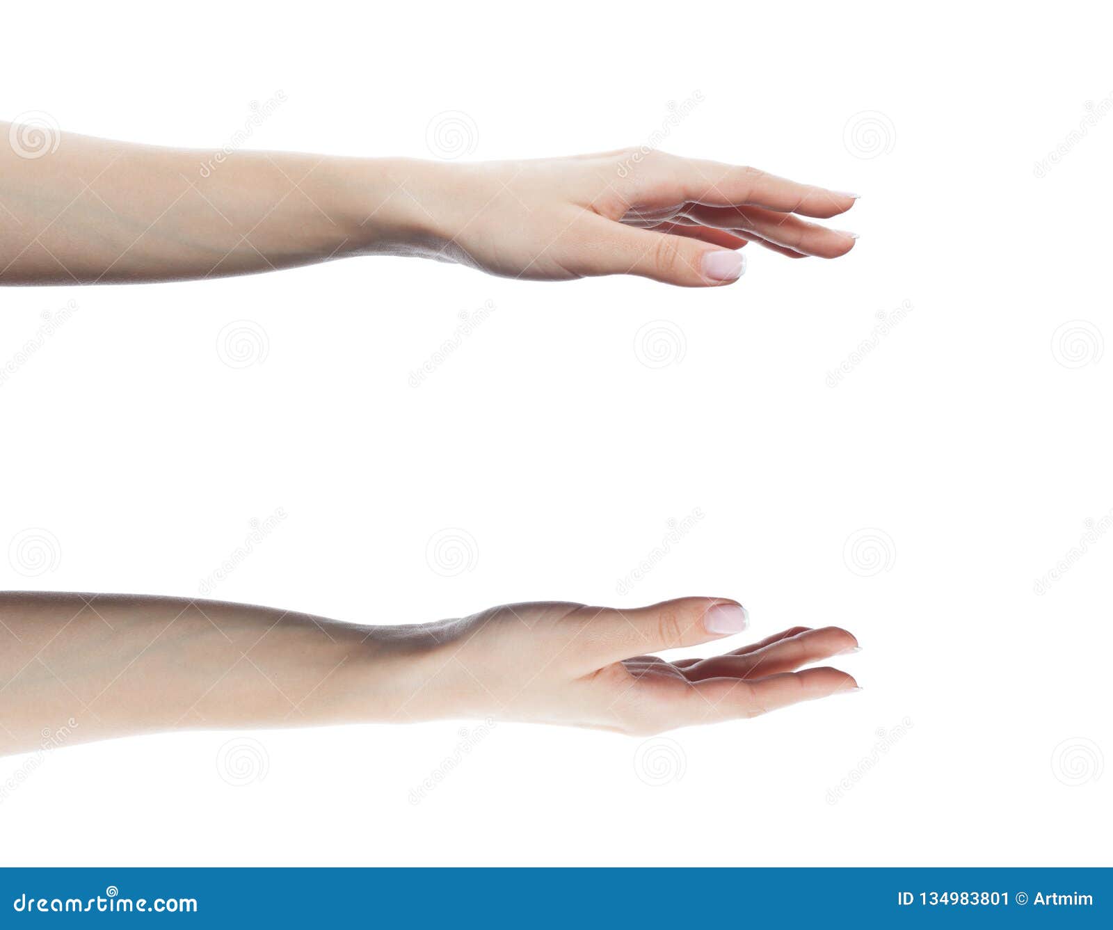 Two Empty Female Hands Measuring Something Isolated on White Stock ...