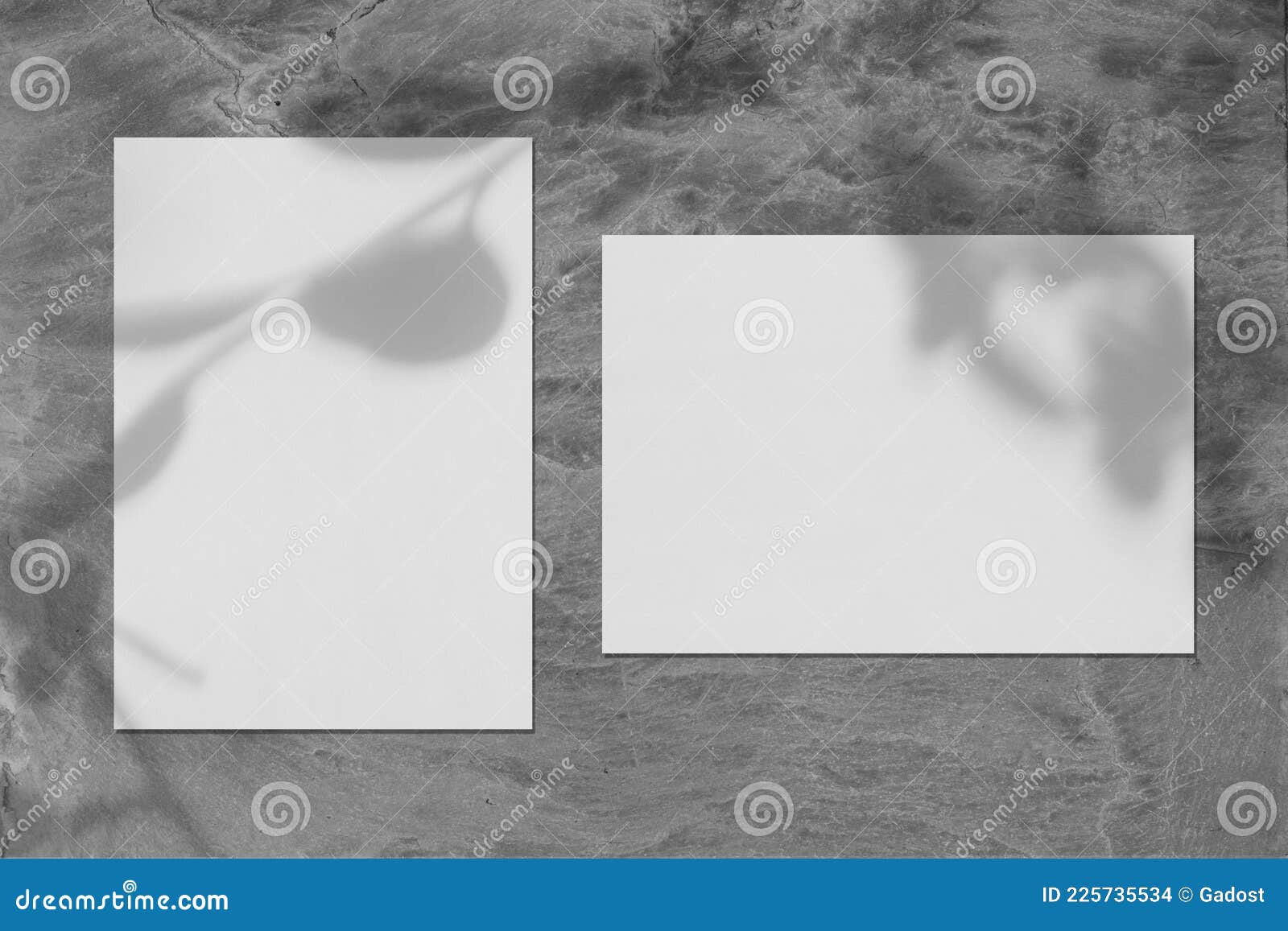 Two Empty Vertical and Horizontal Rectangle Poster Mockups with Leaves ...