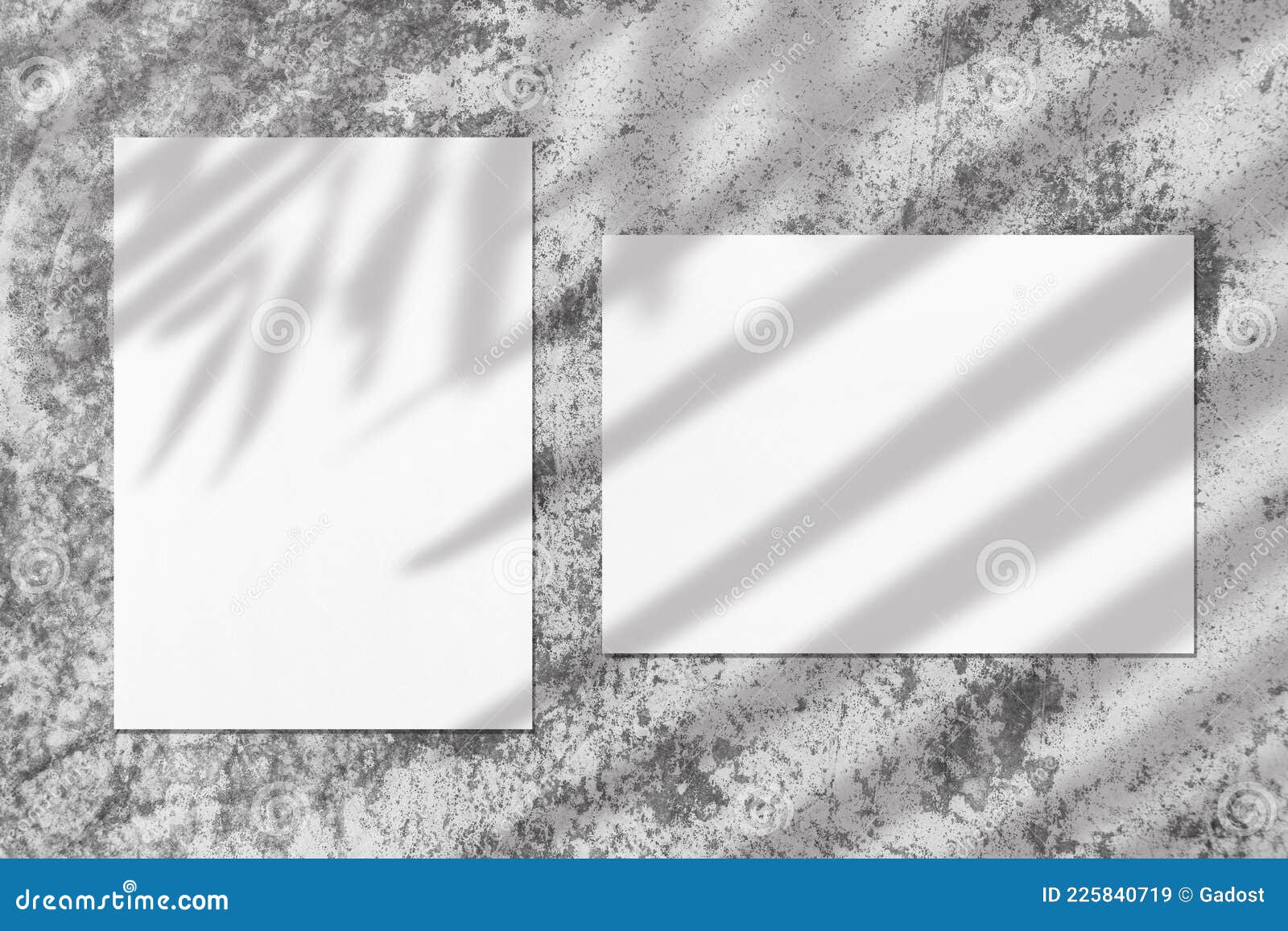 Two Empty Vertical and Horizontal Rectangle Poster Mockups with Palm ...