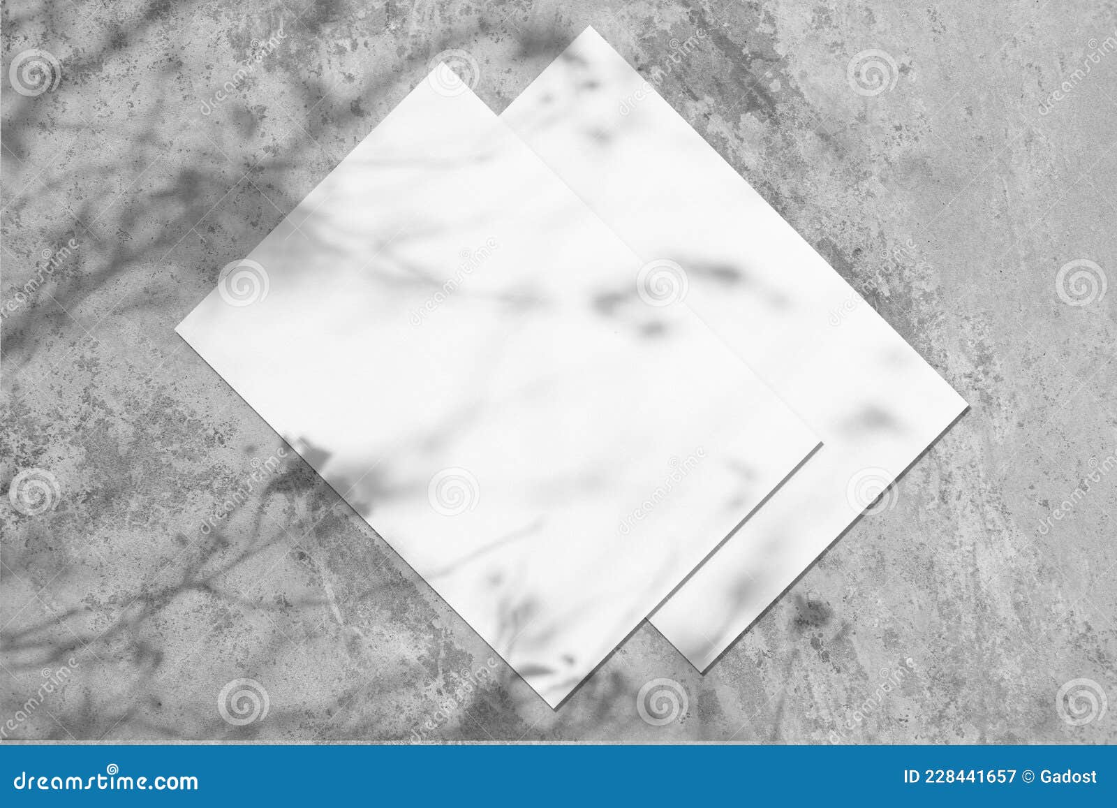 Two Empty White Rectangle Poster Diagonal Mockups with Tree Shadow ...