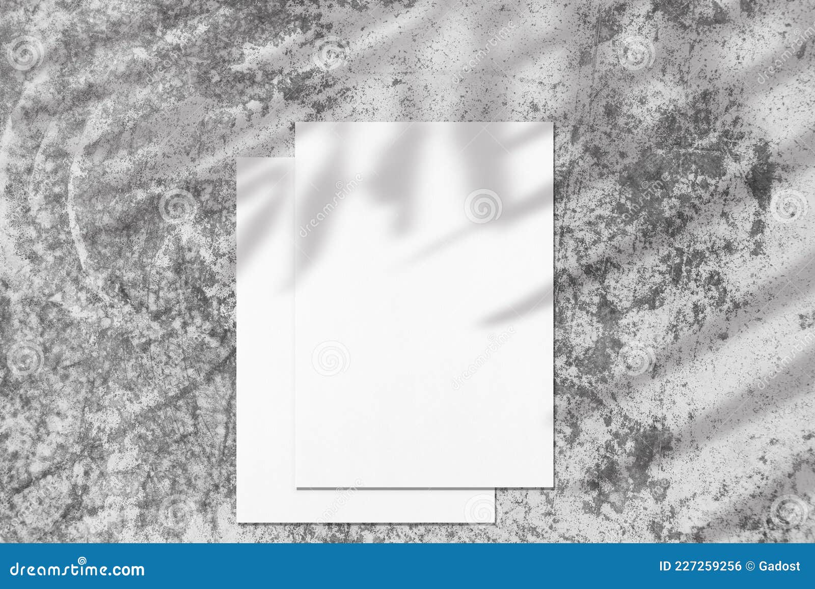 Two Empty White Rectangle Poster Diagonal Mockups with Palm Shadow ...