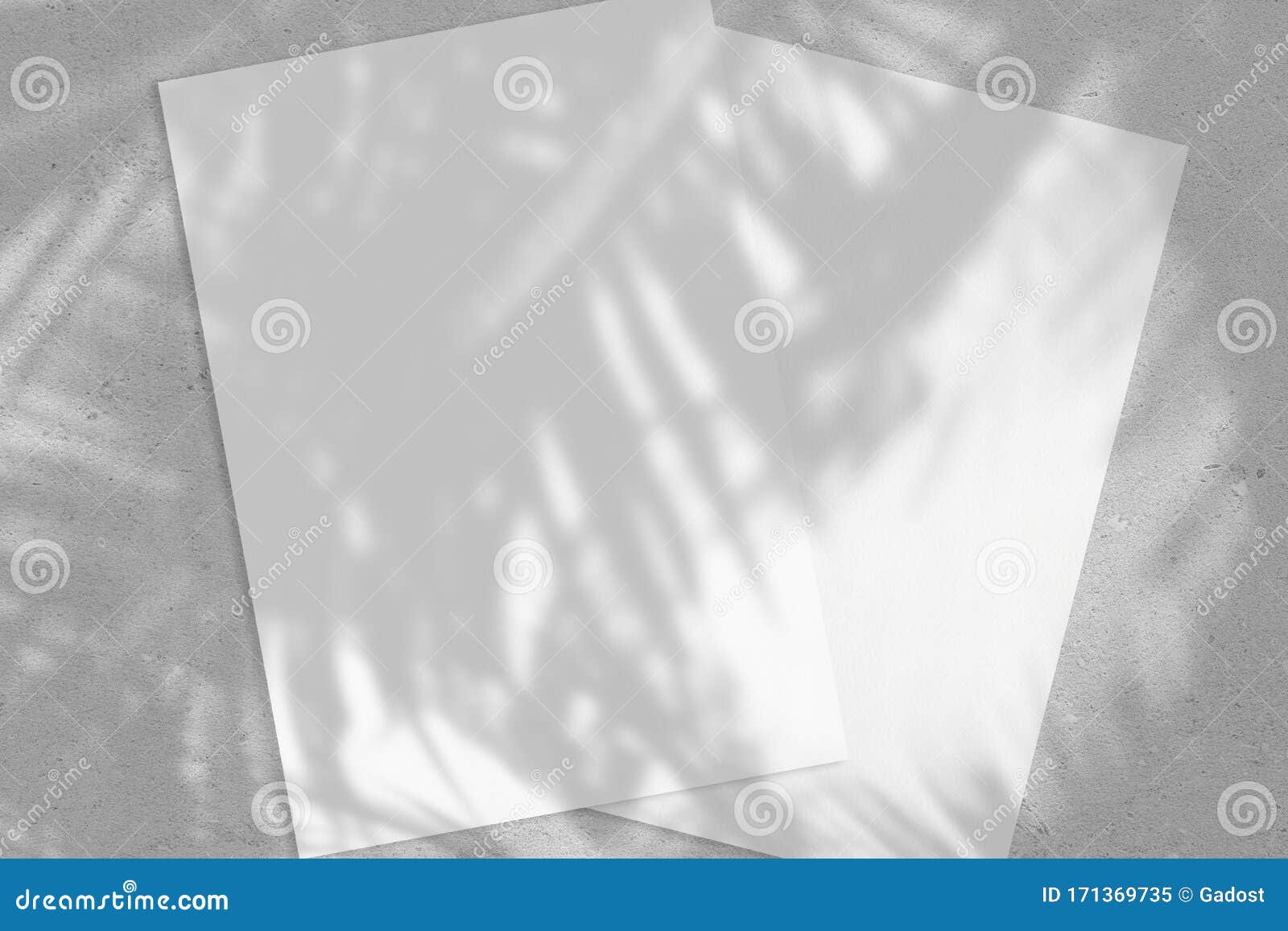 Two Empty White Vertical Rectangle Poster or Card Mockups with Palm ...
