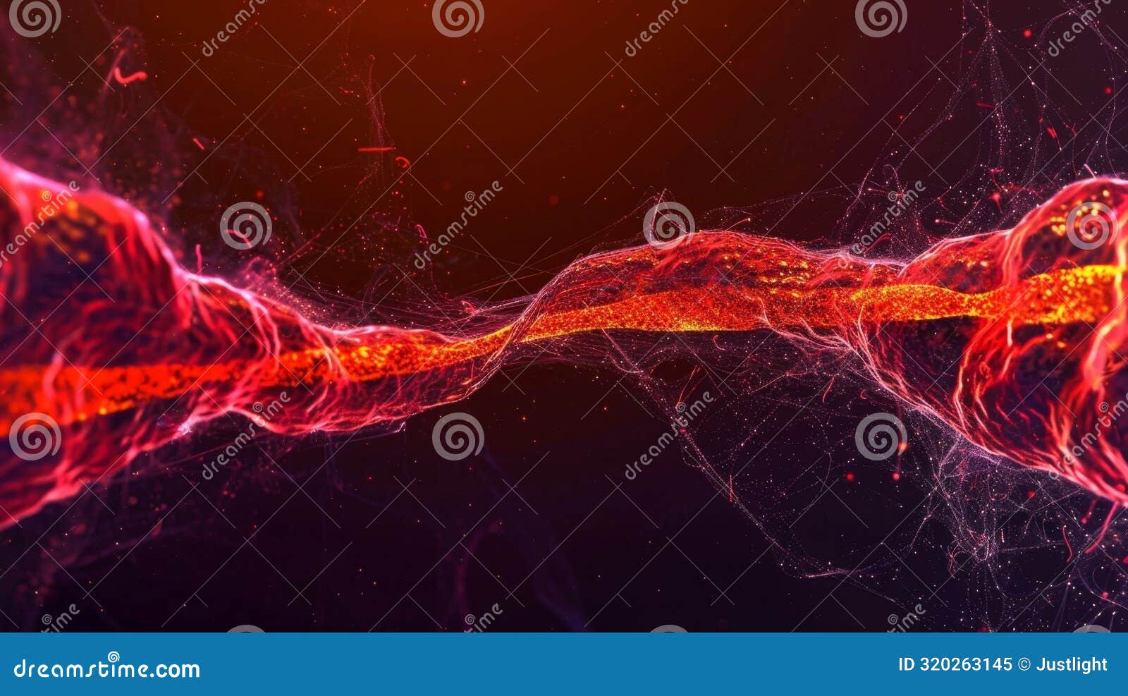 Two Endothelial Cells Bridging a Gap between Two Larger Vessels Their ...