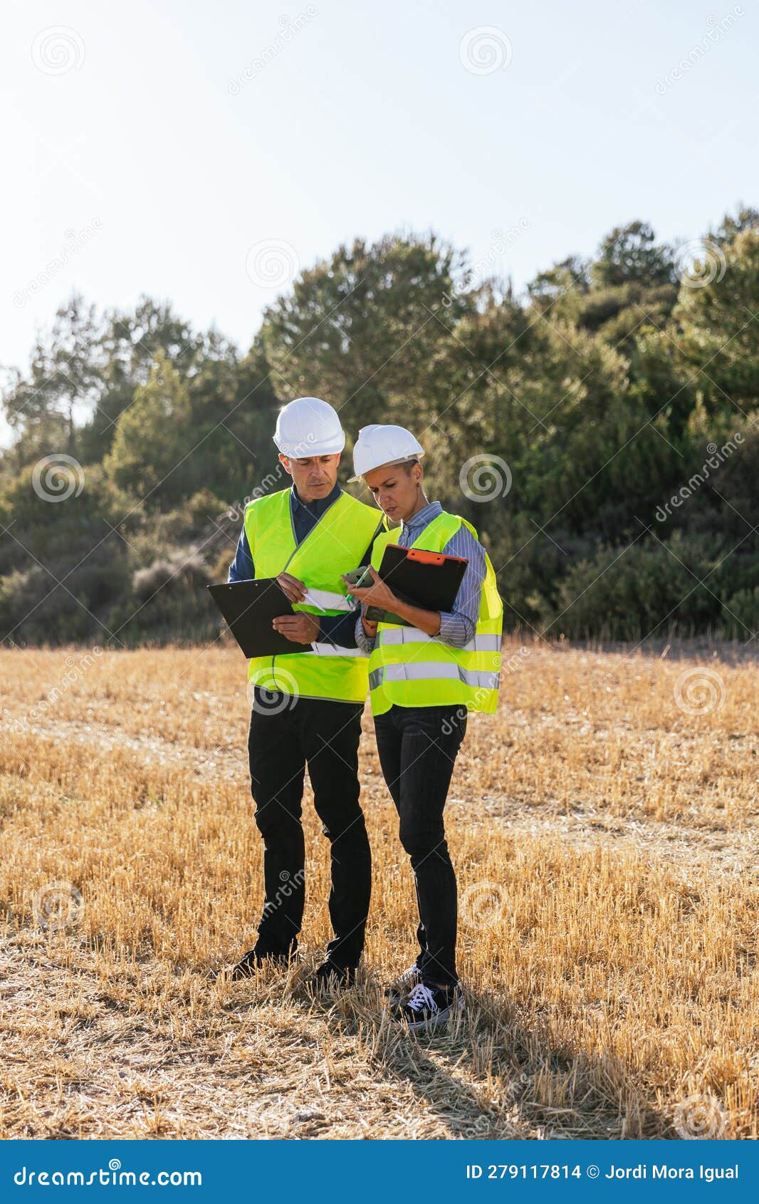 Two Engineers Working Together Outdoors in the Field. Stock Photo ...