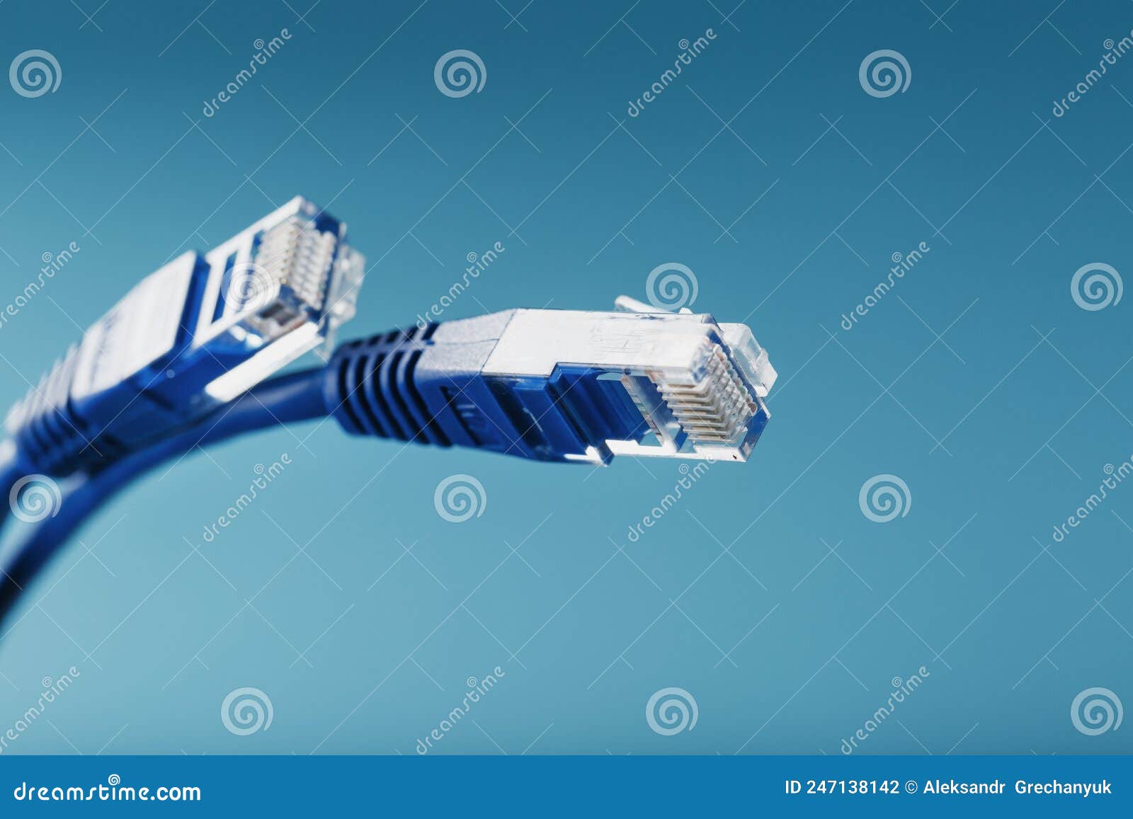 Two Ethernet Cable Connectors Patch Cord Cord Close-up Isolated on a ...