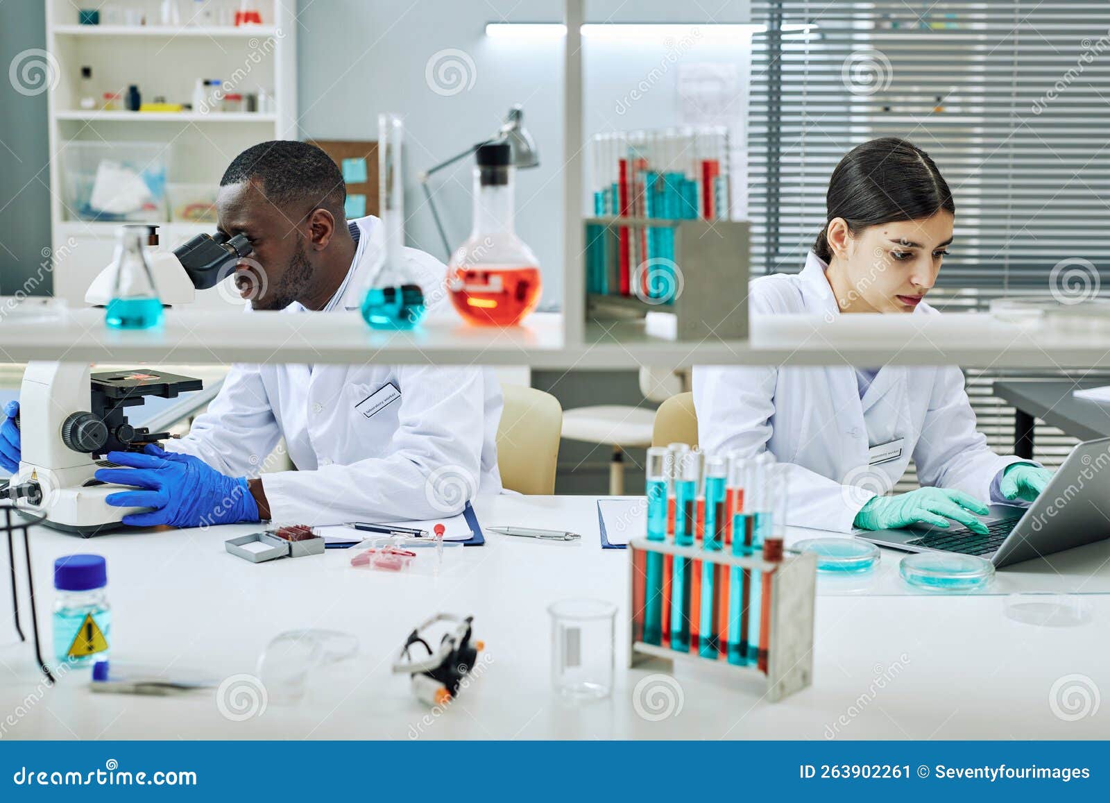 Two Ethnic Scientists Working in Laboratory and Doing Research Stock ...