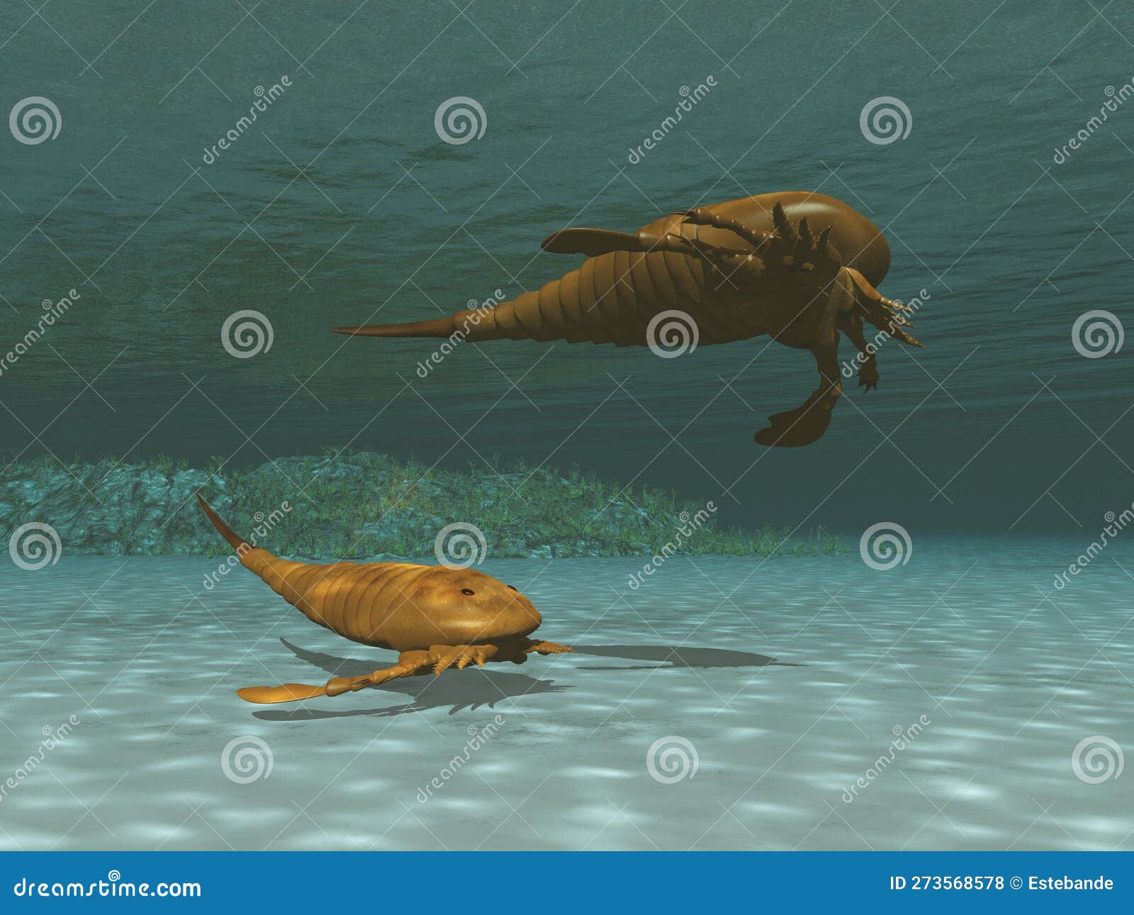 Two Eurypterids Swimming Under the Sea Stock Illustration ...