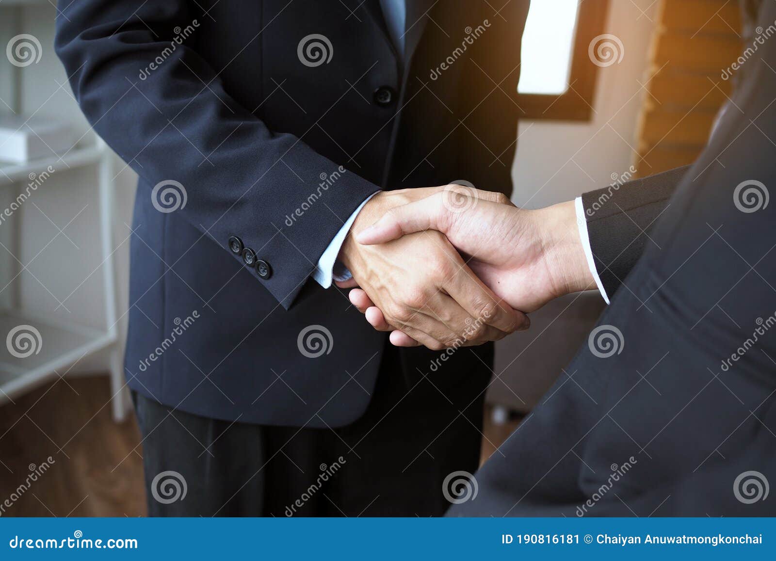 Two Executives Handshake As Partners after the Successful Meeting Stock ...