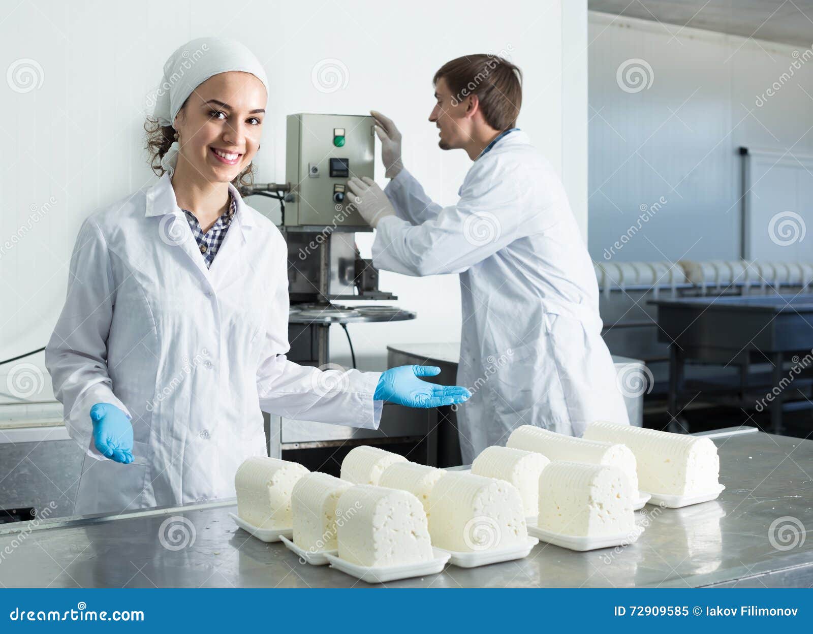 Two Experts Checking Food in Lab Stock Image - Image of engineering ...