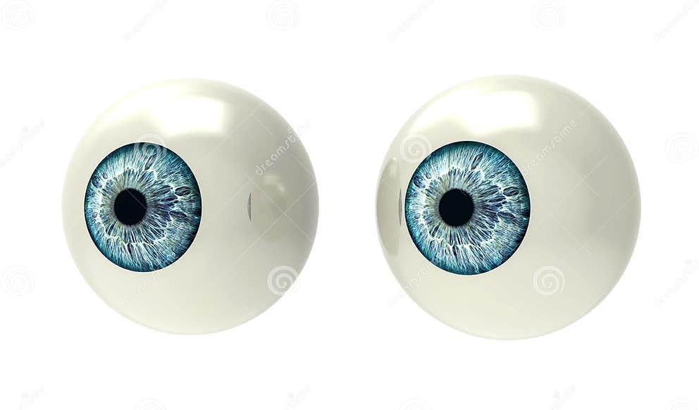Two Eyeballs Isolated on White Stock Illustration - Illustration of ...