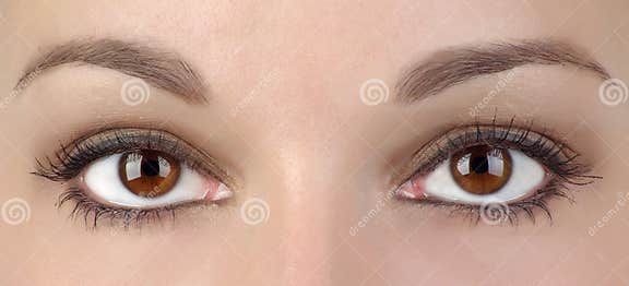 Two eyes stock photo. Image of close, focus, femininity - 11485732