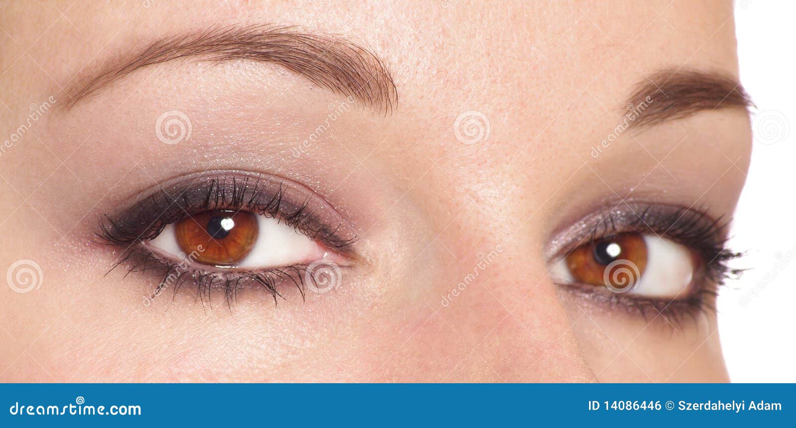 Two Eyes Looking At Each Other