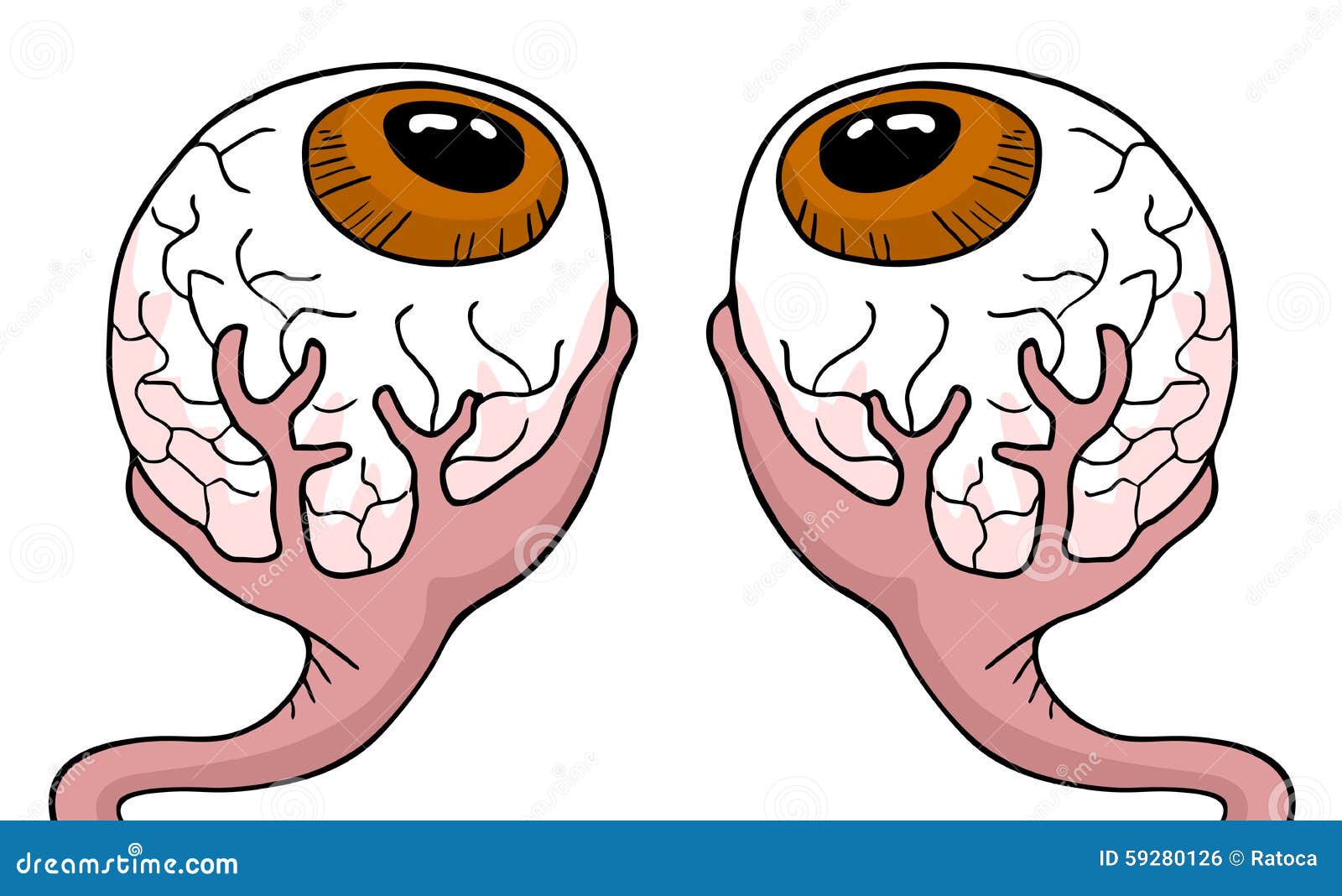 Two eyes stock vector. Illustration of wonder, look, crazy - 59280126