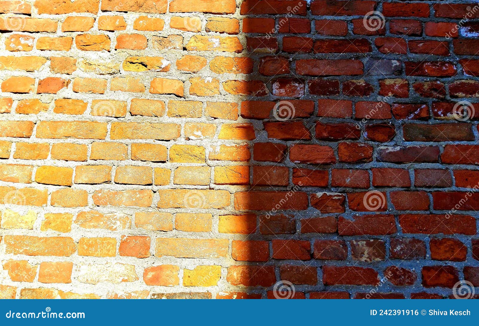 Shadow Faces On The Beach Royalty-Free Stock Image | CartoonDealer.com ...