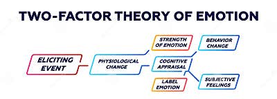 Two Factor Theory of Emotion Diagram. Process of Emotional Cognitive ...