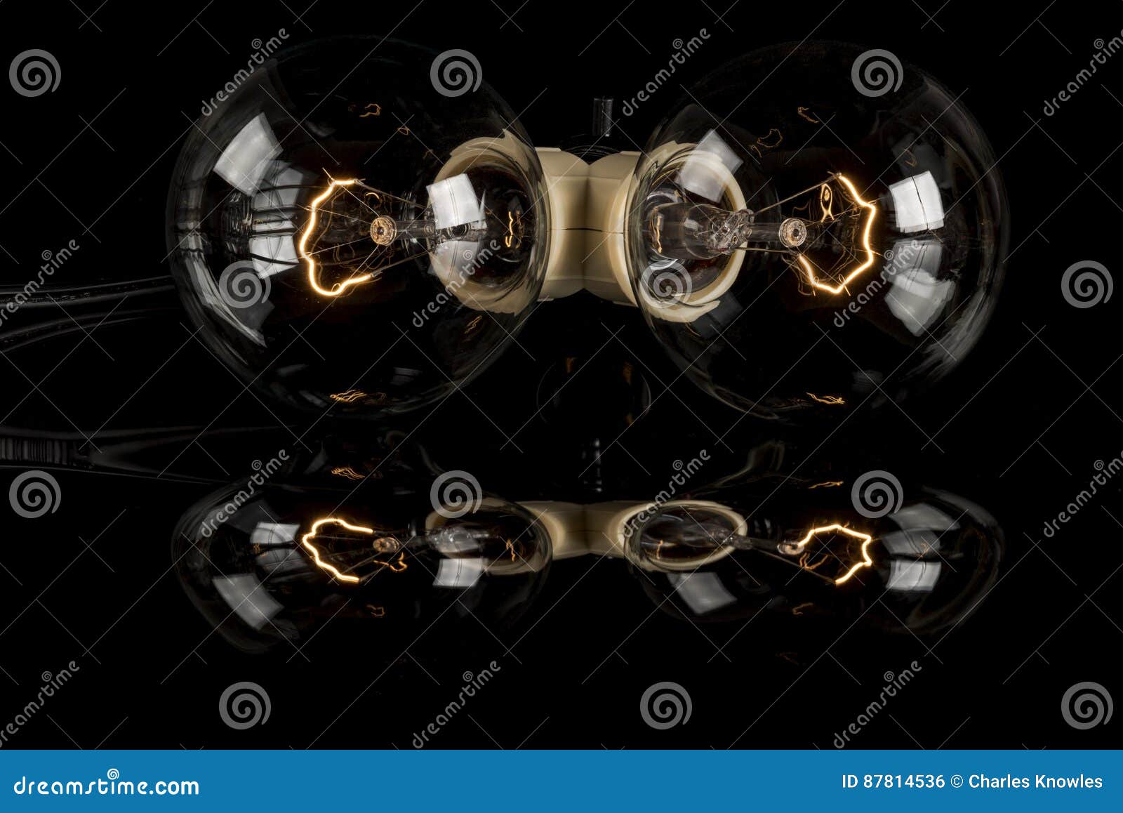 Two Fancy Lightbulbs with Reflection Stock Photo - Image of round ...