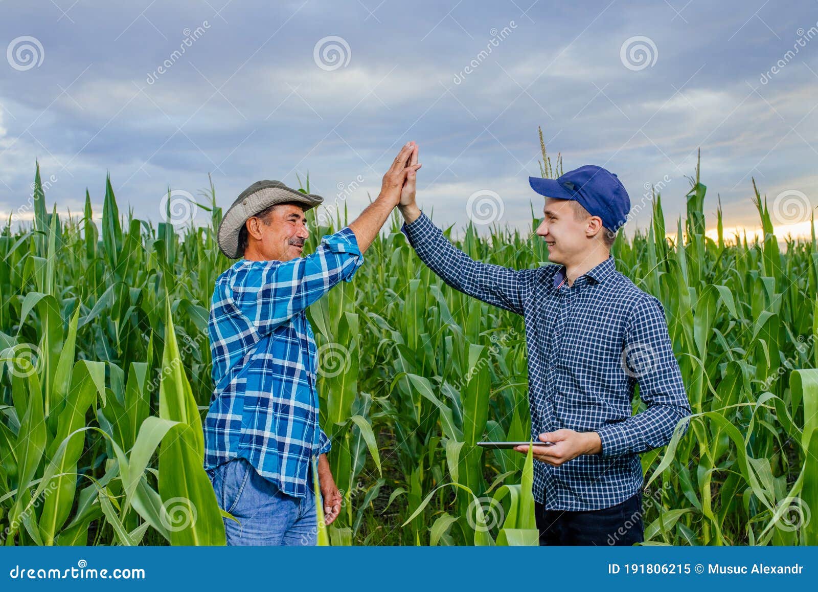 Two Farmer Standing in a Corn Field. Stock Image - Image of land ...