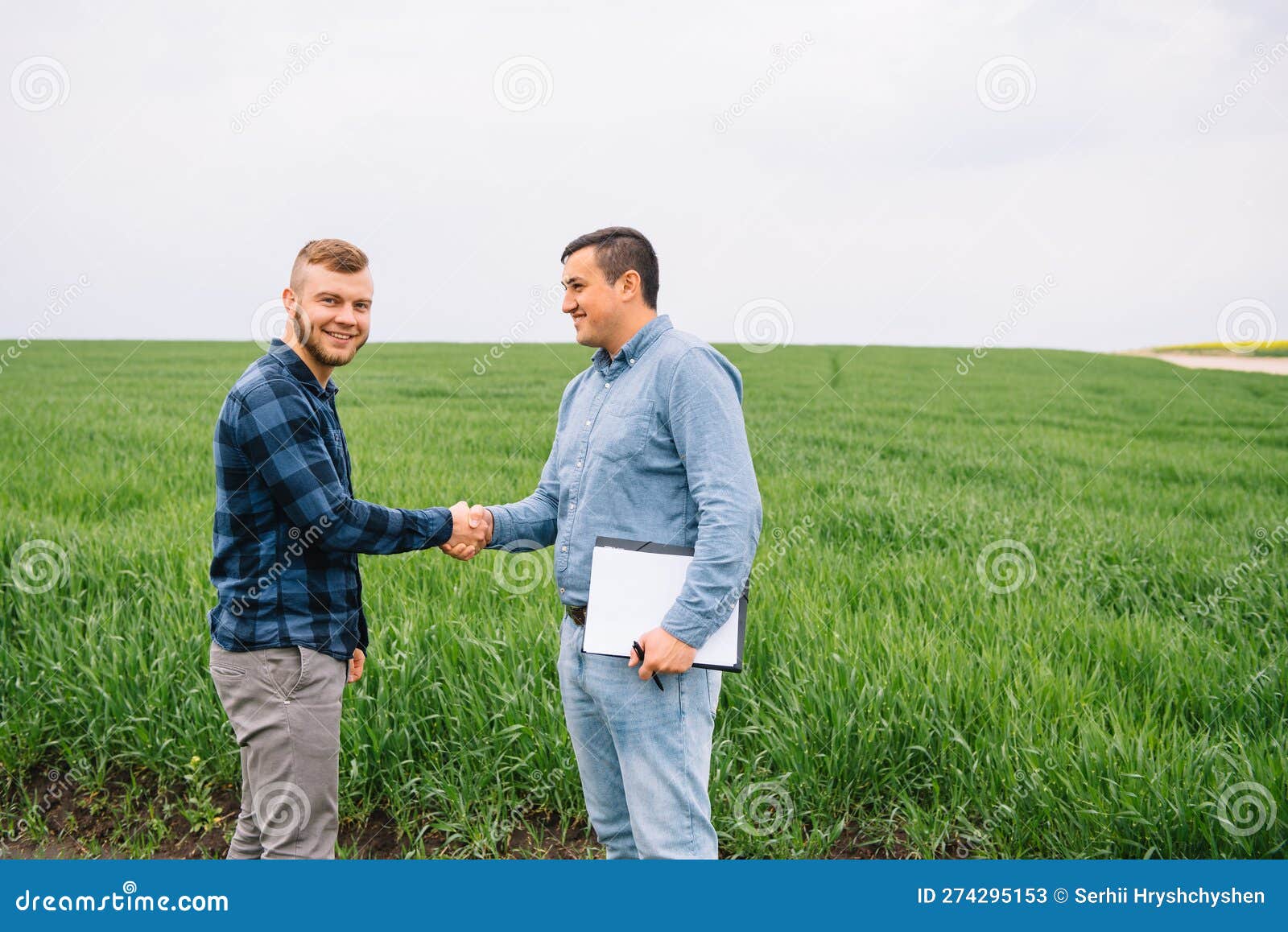 Two Farmer Standing in a Green Wheat Field and Shake Hands. Stock Image ...
