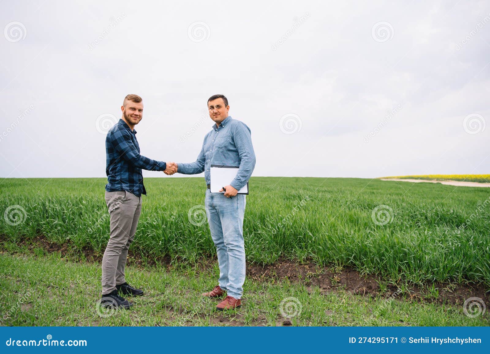 Two Farmer Standing in a Green Wheat Field and Shake Hands. Stock Image ...