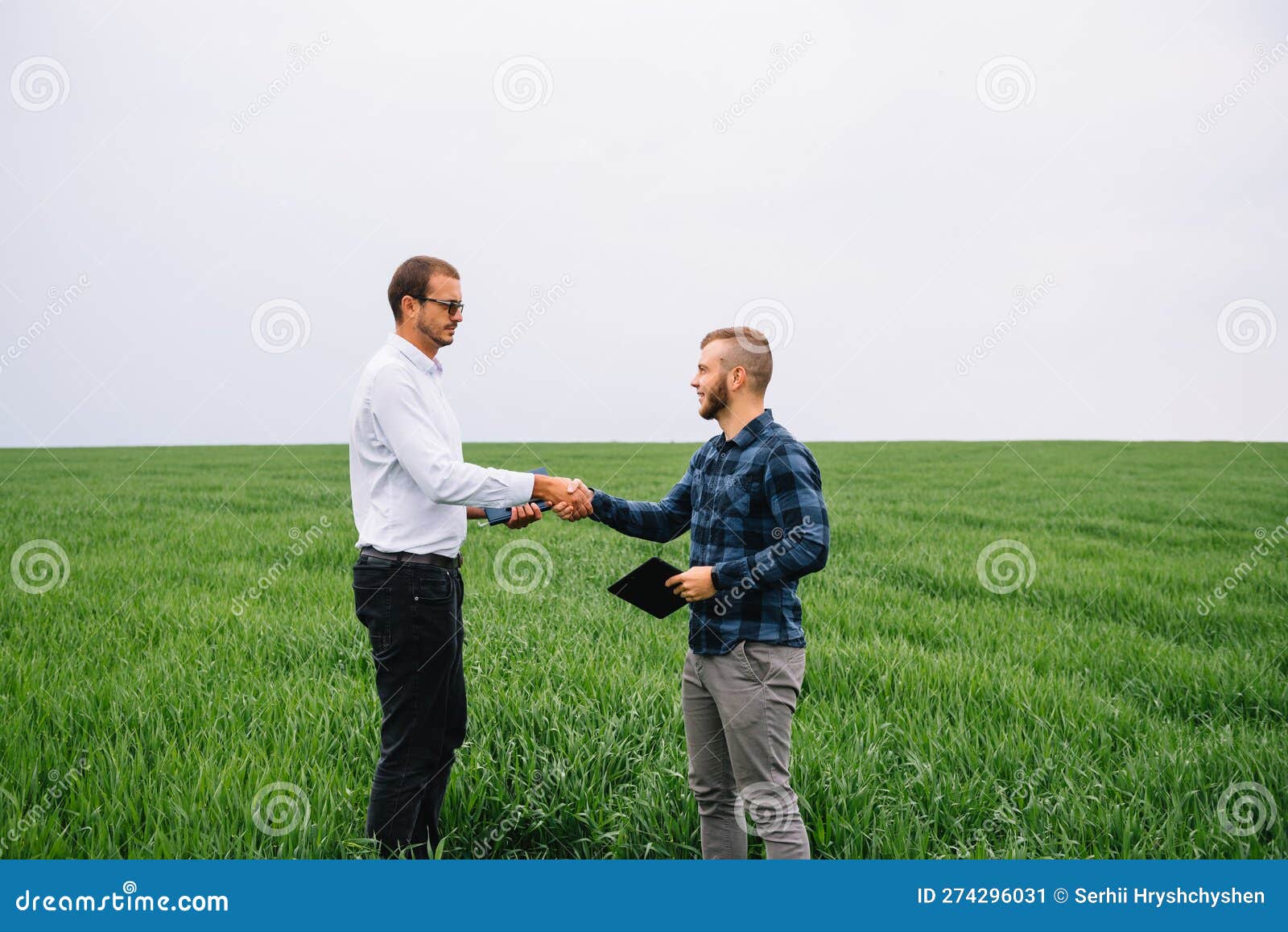 Two Farmer Standing in a Green Wheat Field and Shake Hands Stock Image ...