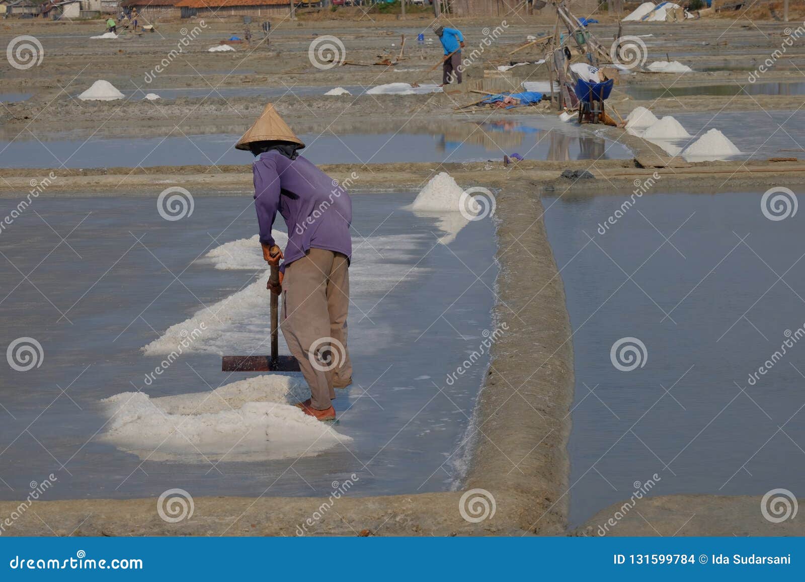 The salt farmer stock photo. Image of traditional, working - 131599784