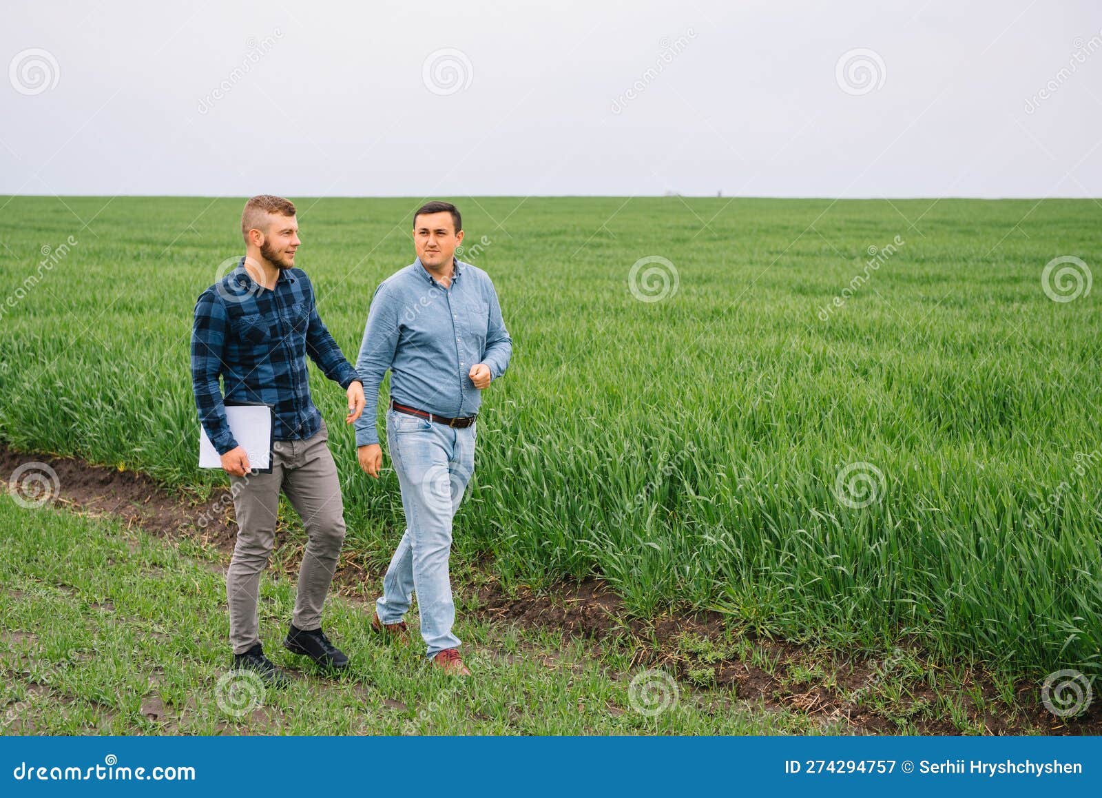 Two Farmers in a Field Examining Wheat Crop. Stock Image - Image of ...