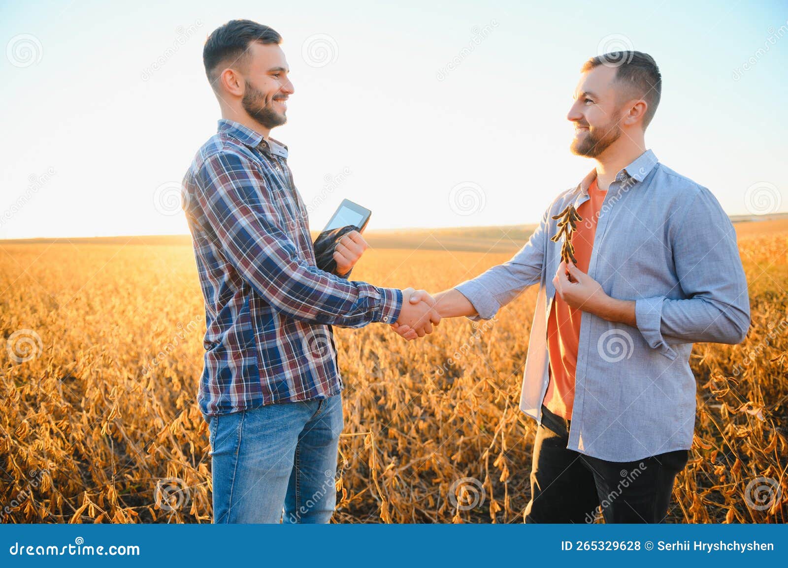 Two Farmers Shaking Hands in Soybean Field. Stock Photo - Image of hand ...