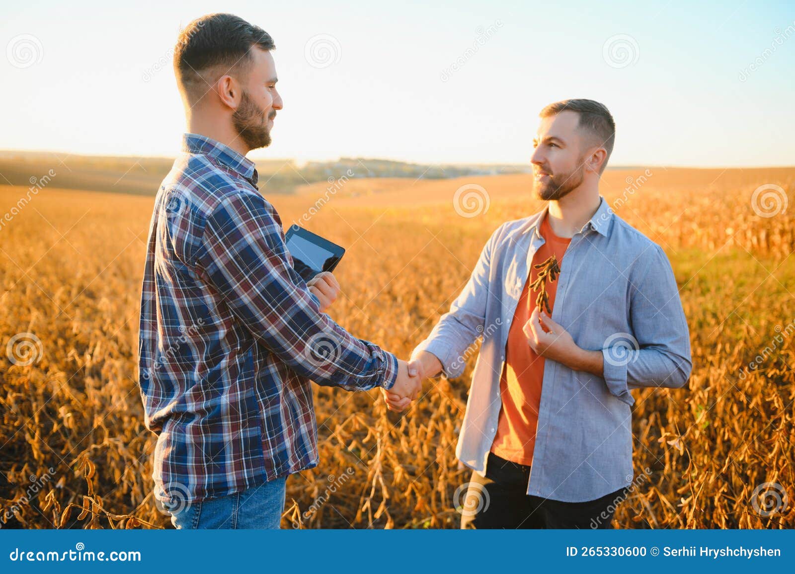 Two Farmers Shaking Hands in Soybean Field. Stock Photo - Image of ...