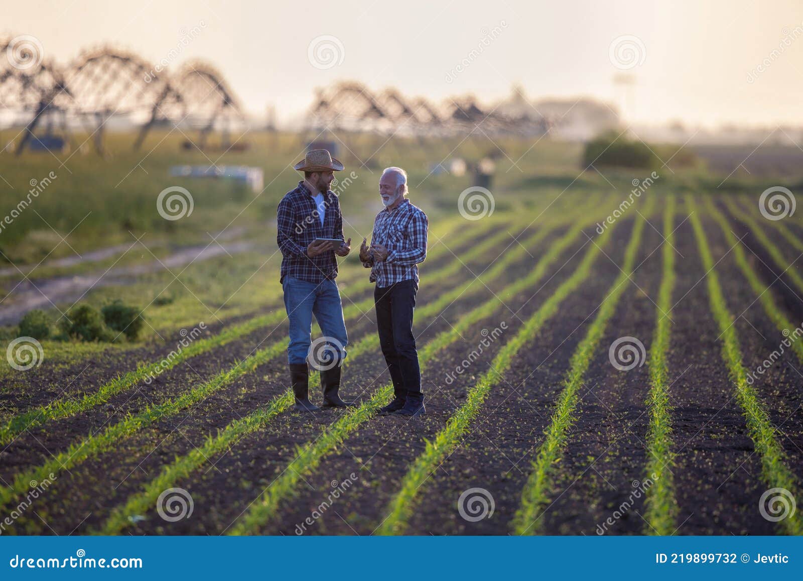 Two Farmers Standing in Corn Field Talking Stock Photo - Image of ...