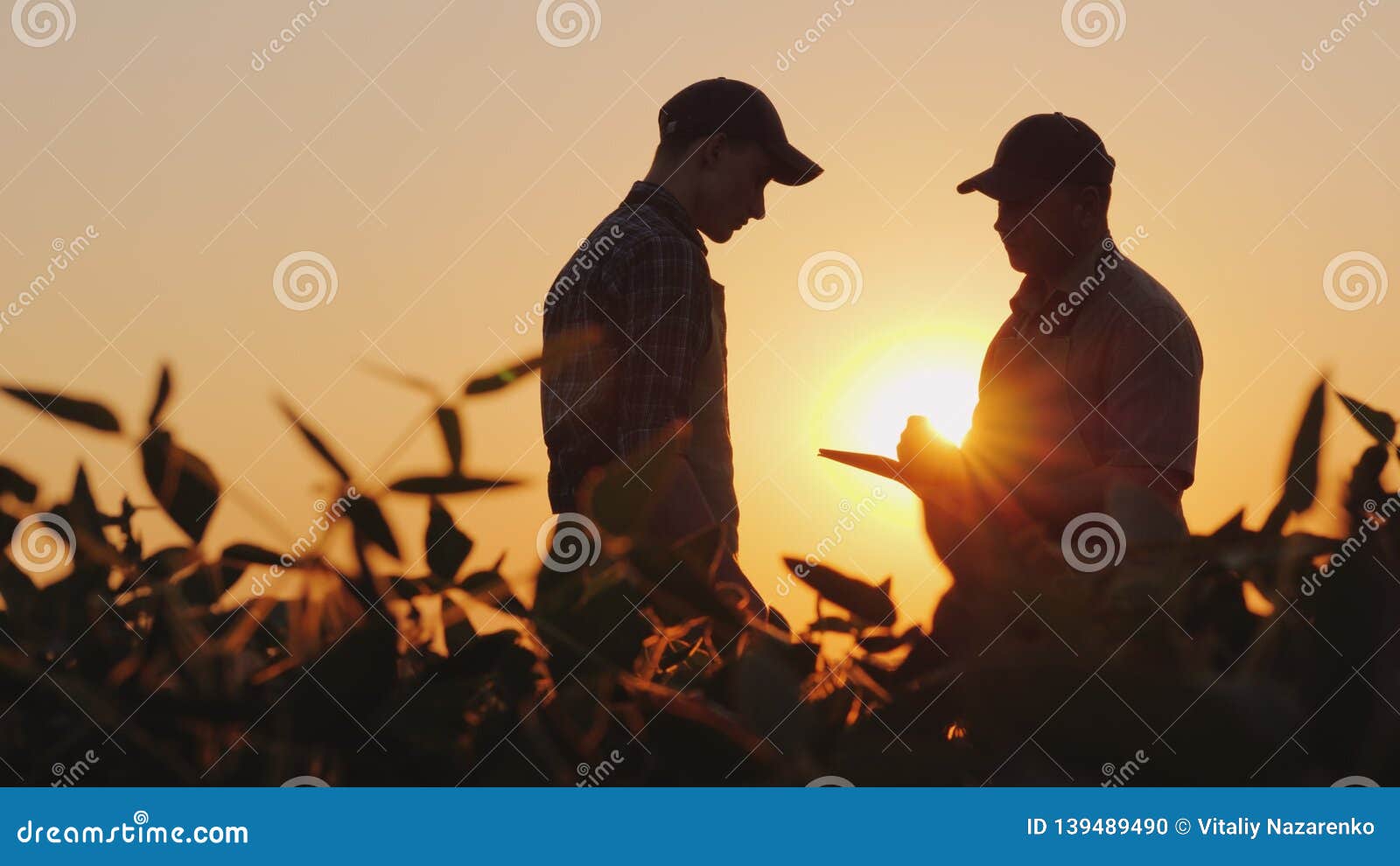 Two Farmers Talk On The Field, Then Shake Hands. Use A Tablet Royalty ...