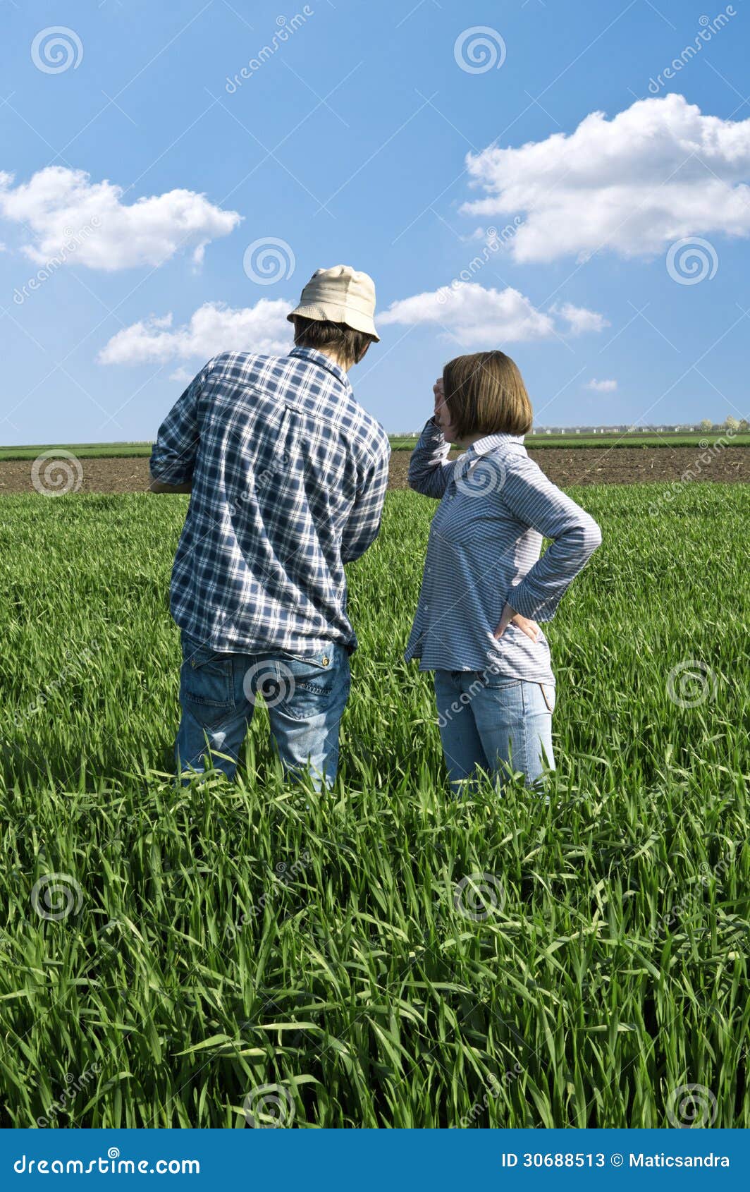 Two Farmers in a Wheat Field. Stock Image - Image of barley, person ...