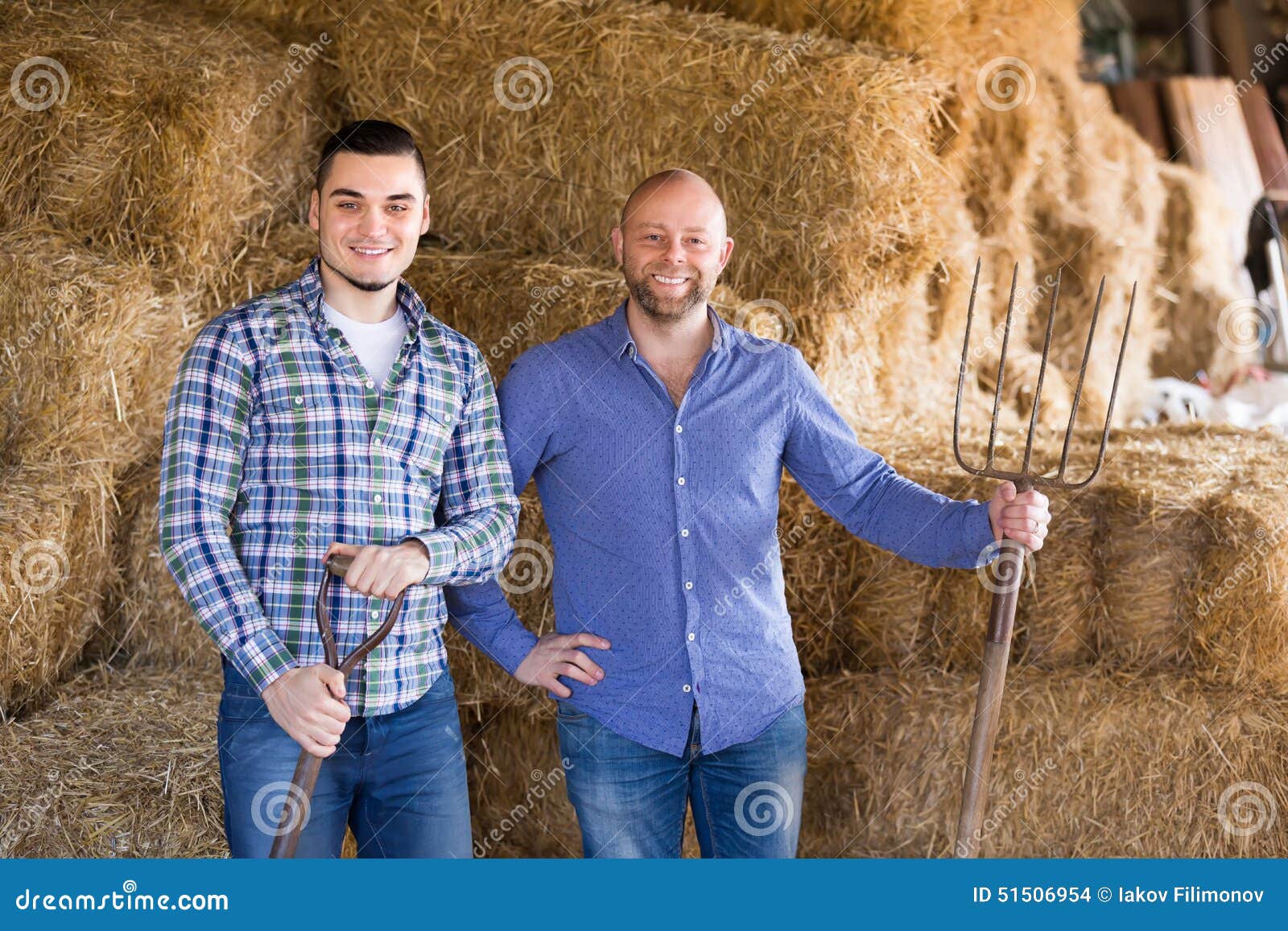 Two Farmers Working in Barn Stock Photo - Image of dried, happy: 51506954