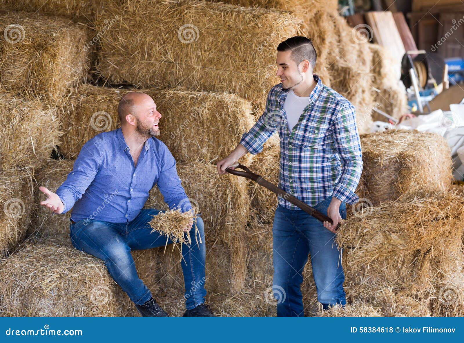 Two Farmers Working in Barn Stock Photo - Image of faces, hobby: 58384618