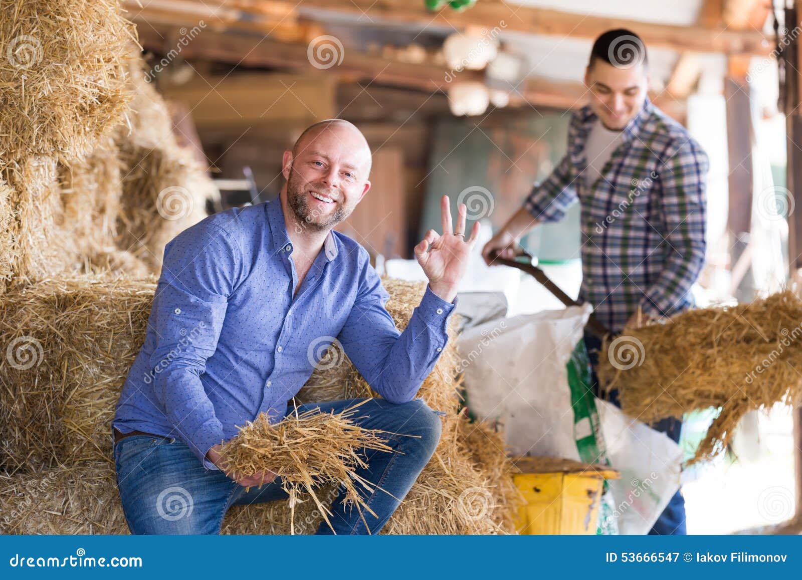 Two Farmers Working in Barn Stock Image - Image of friends, private ...