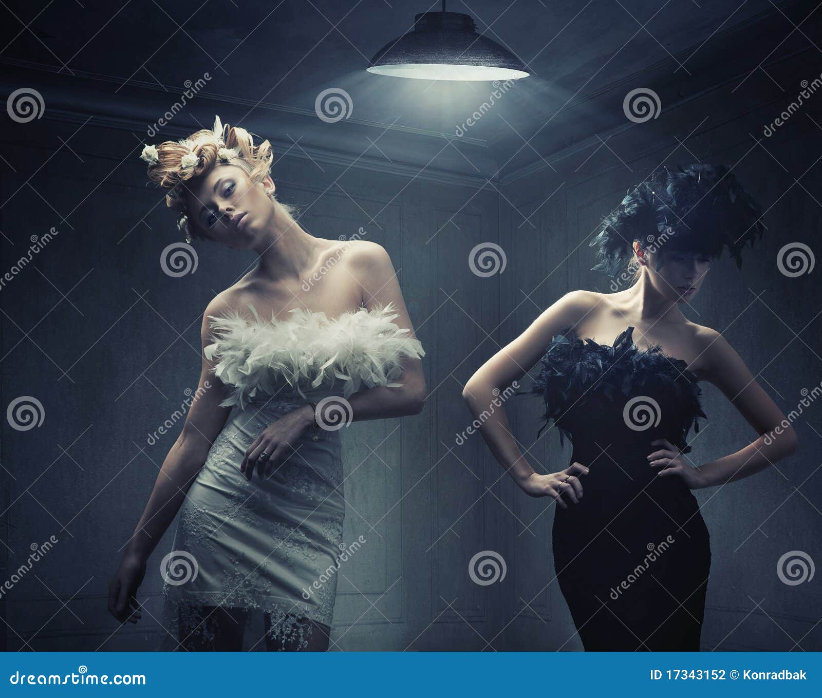 Two fashion ladies stock photo. Image of elegant, figure - 17343152