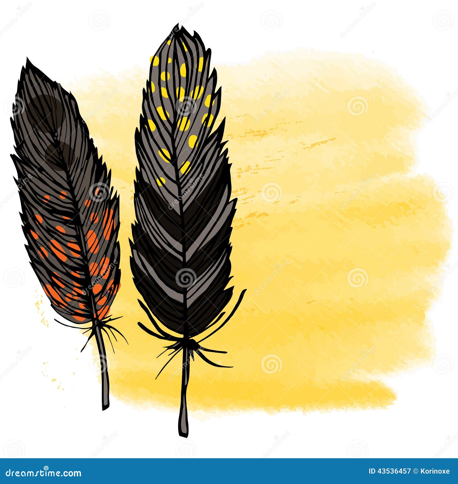 Two feather stock vector. Illustration of graphic, blot - 43536457