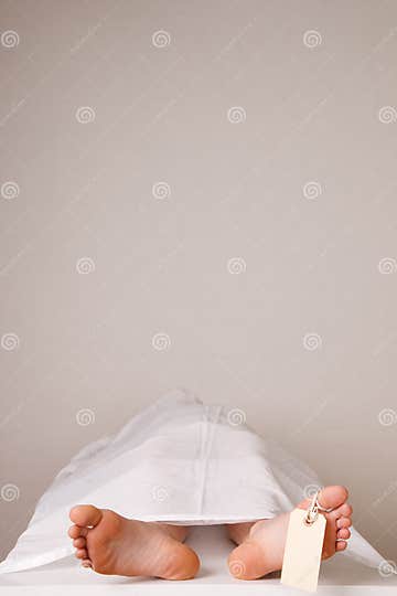 Two feet of a dead body stock photo. Image of death, life - 7707404