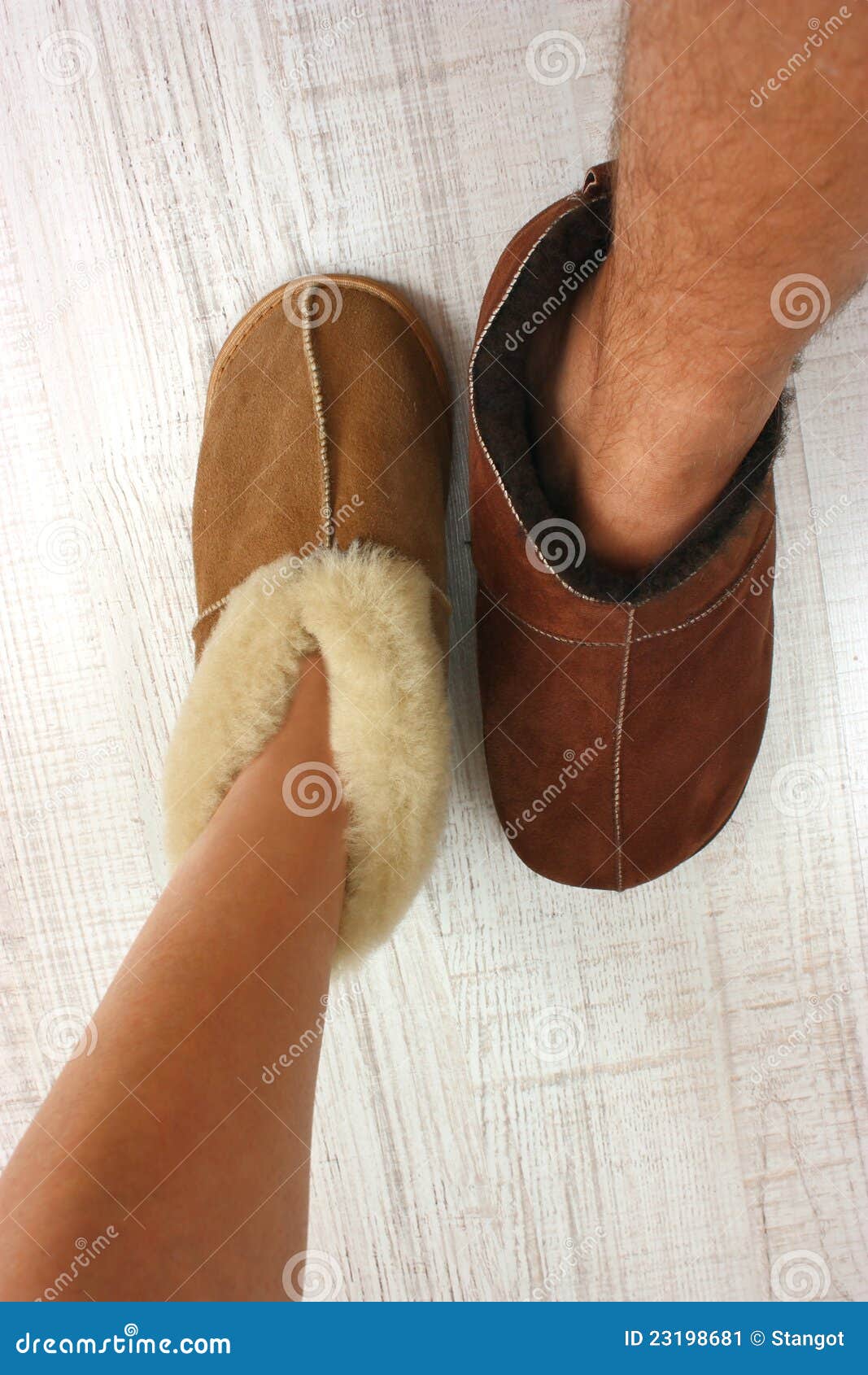 Two feet in slippers stock image. Image of close, naturally - 23198681