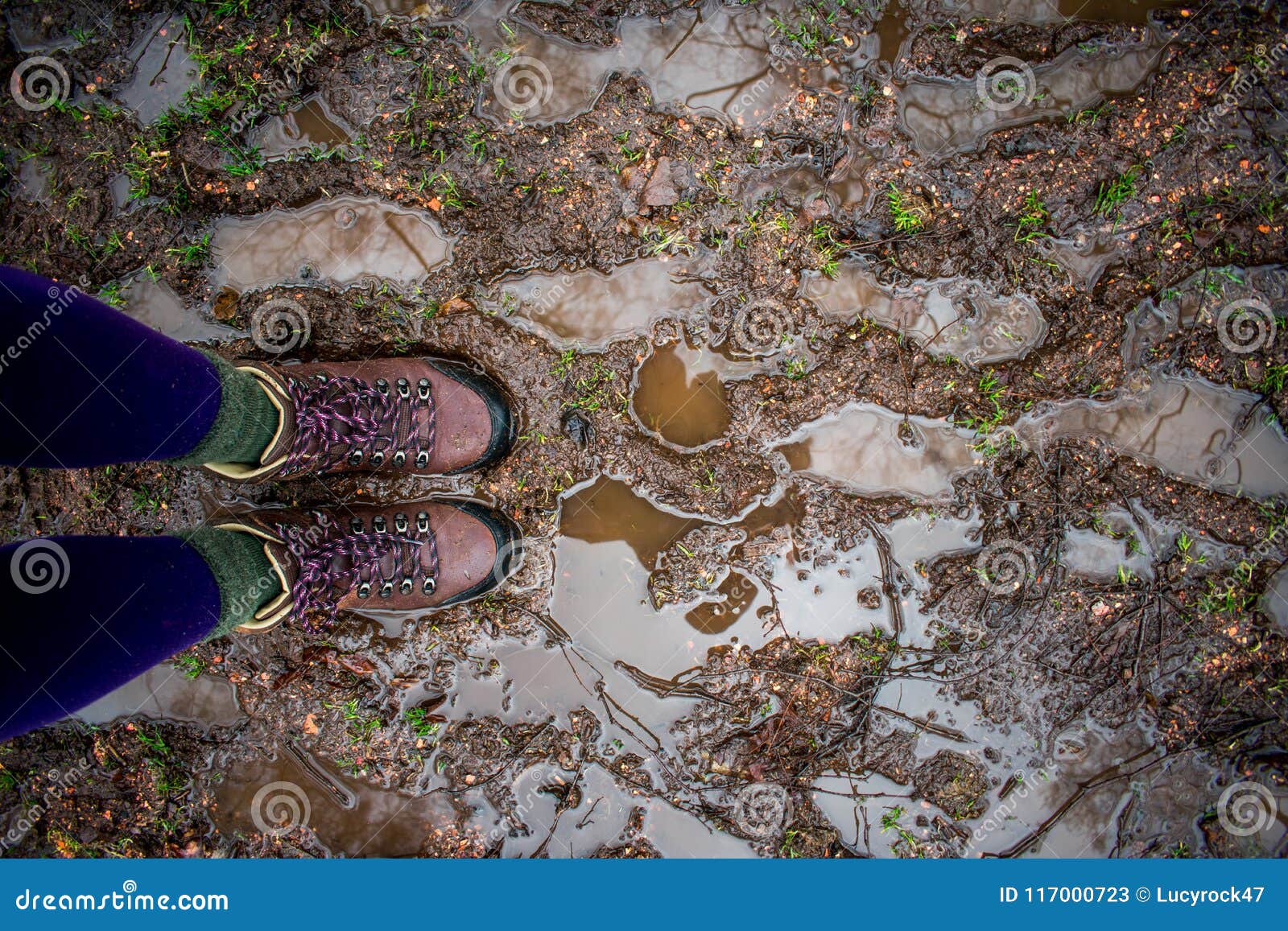 Two Feet Stading on a Muddy, Wet Path Stock Image - Image of hike, legs ...