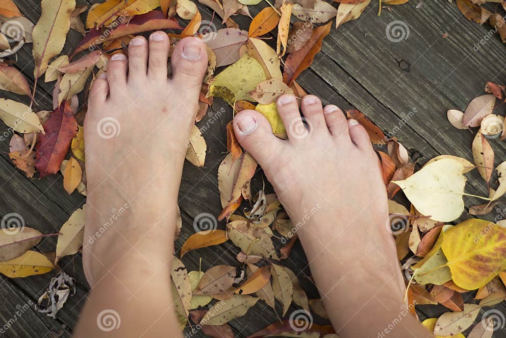 Two Feet Stand on Leaves on the Deck Stock Image - Image of deck ...