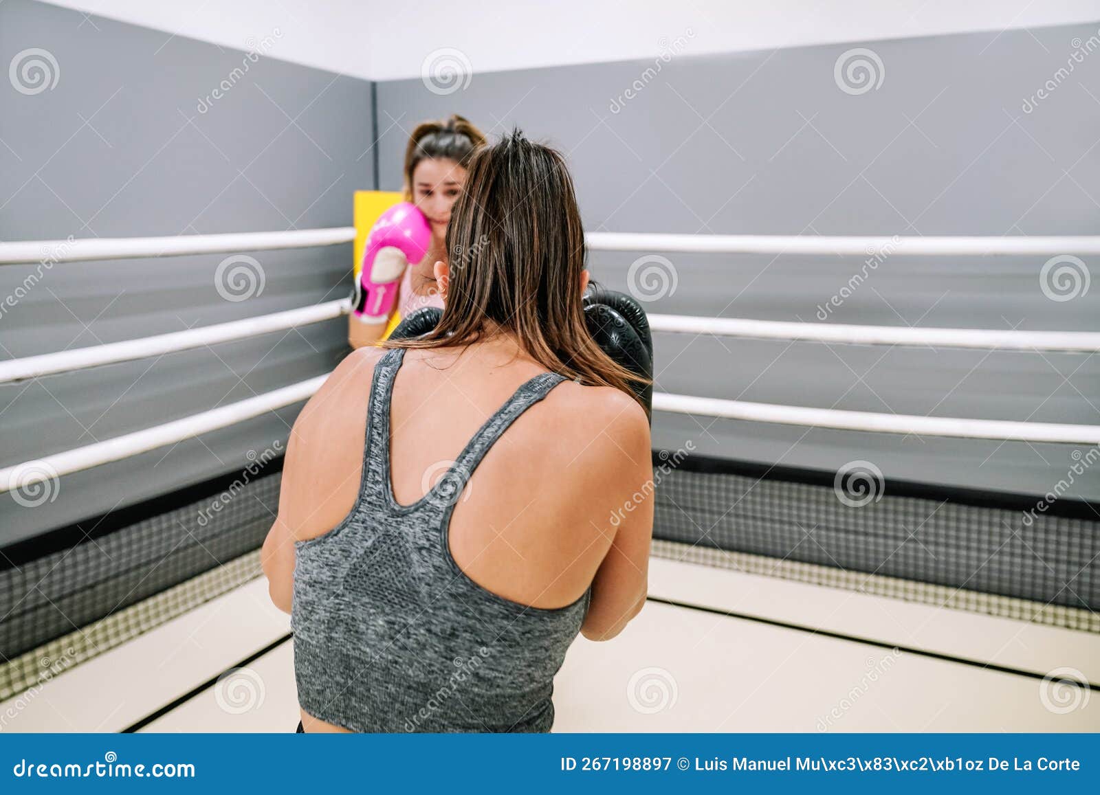 Two Female Boxers Fighting in a Boxing Practice on Top of a Ring Stock ...