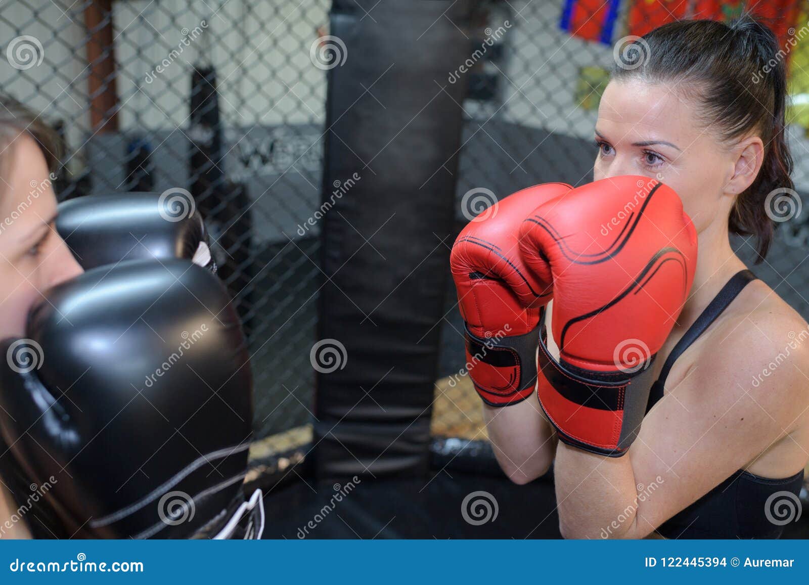 Two female boxers training stock photo. Image of muscular - 122445394