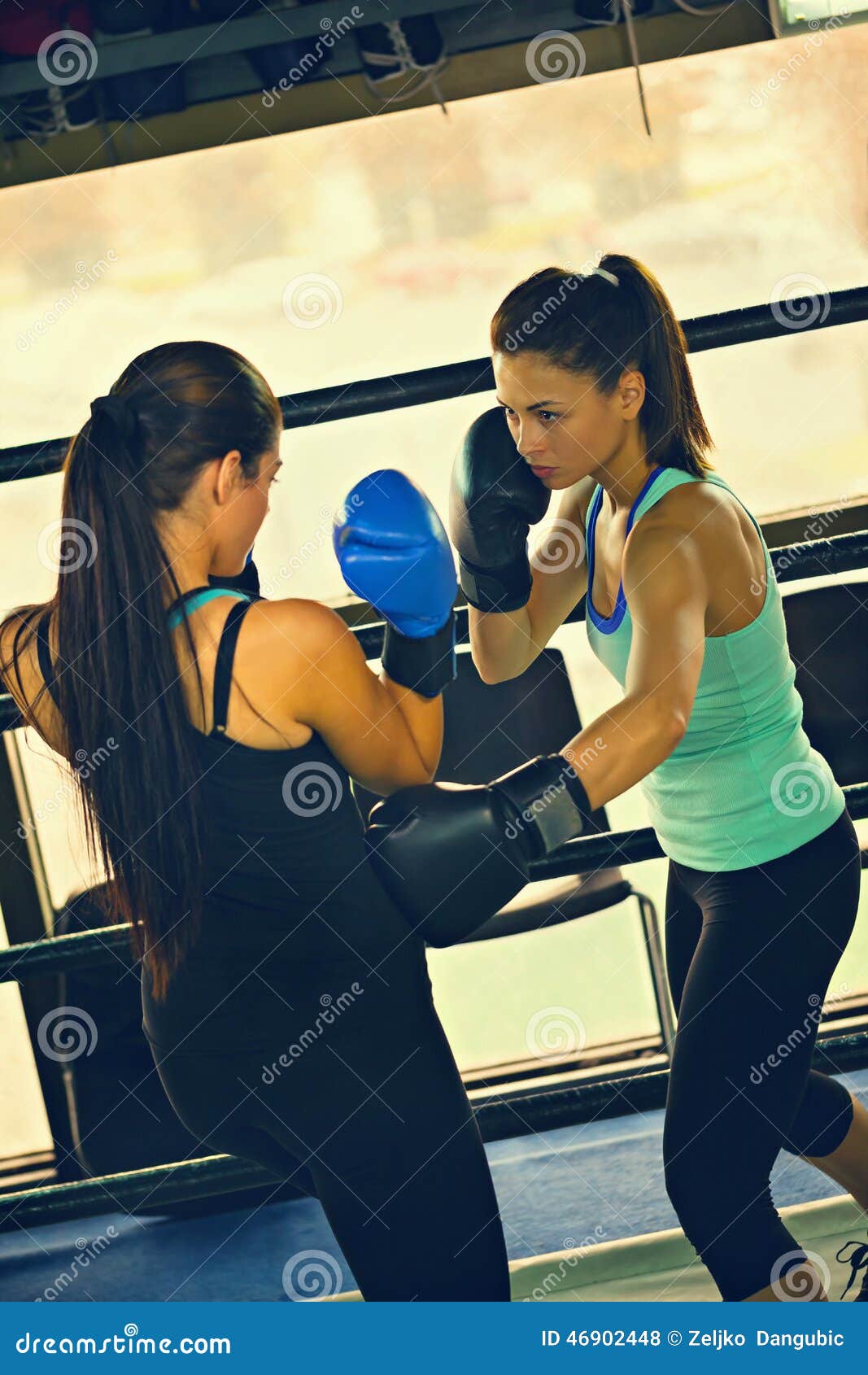 Two Female Boxers at Training Stock Photo - Image of equipment, female ...
