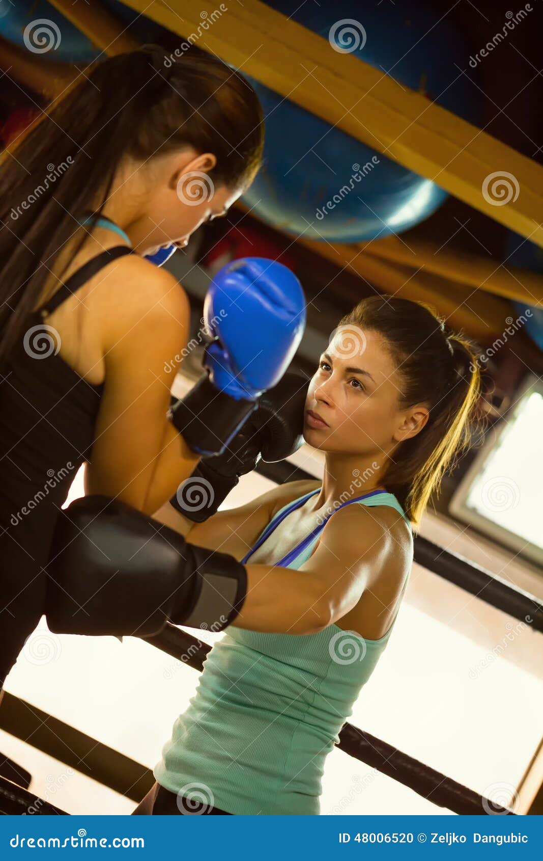 Two Female Boxers at Training Stock Photo - Image of activity, boxer ...